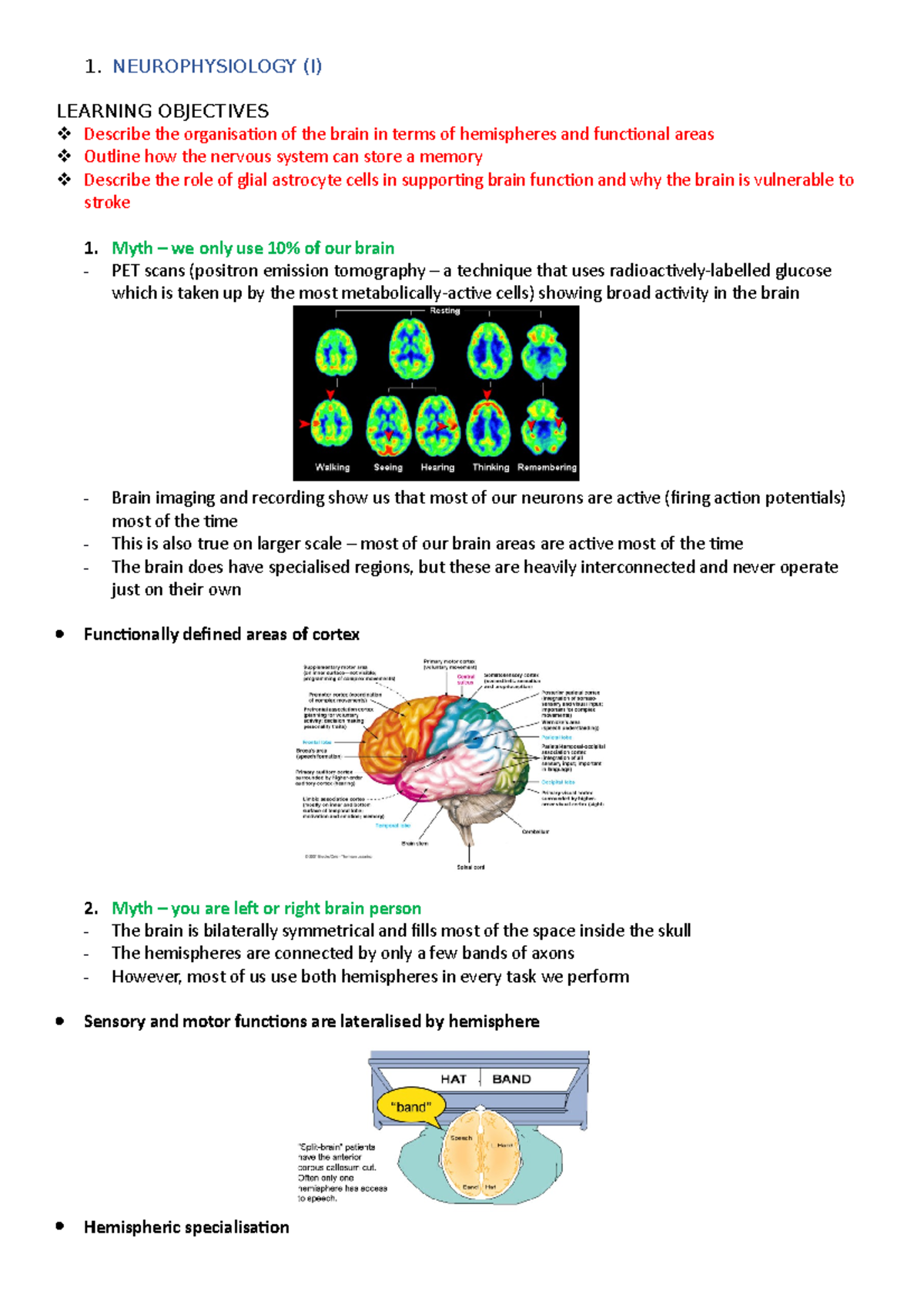 Neurophysiology I - 1. NEUROPHYSIOLOGY (I) LEARNING OBJECTIVES Describe ...