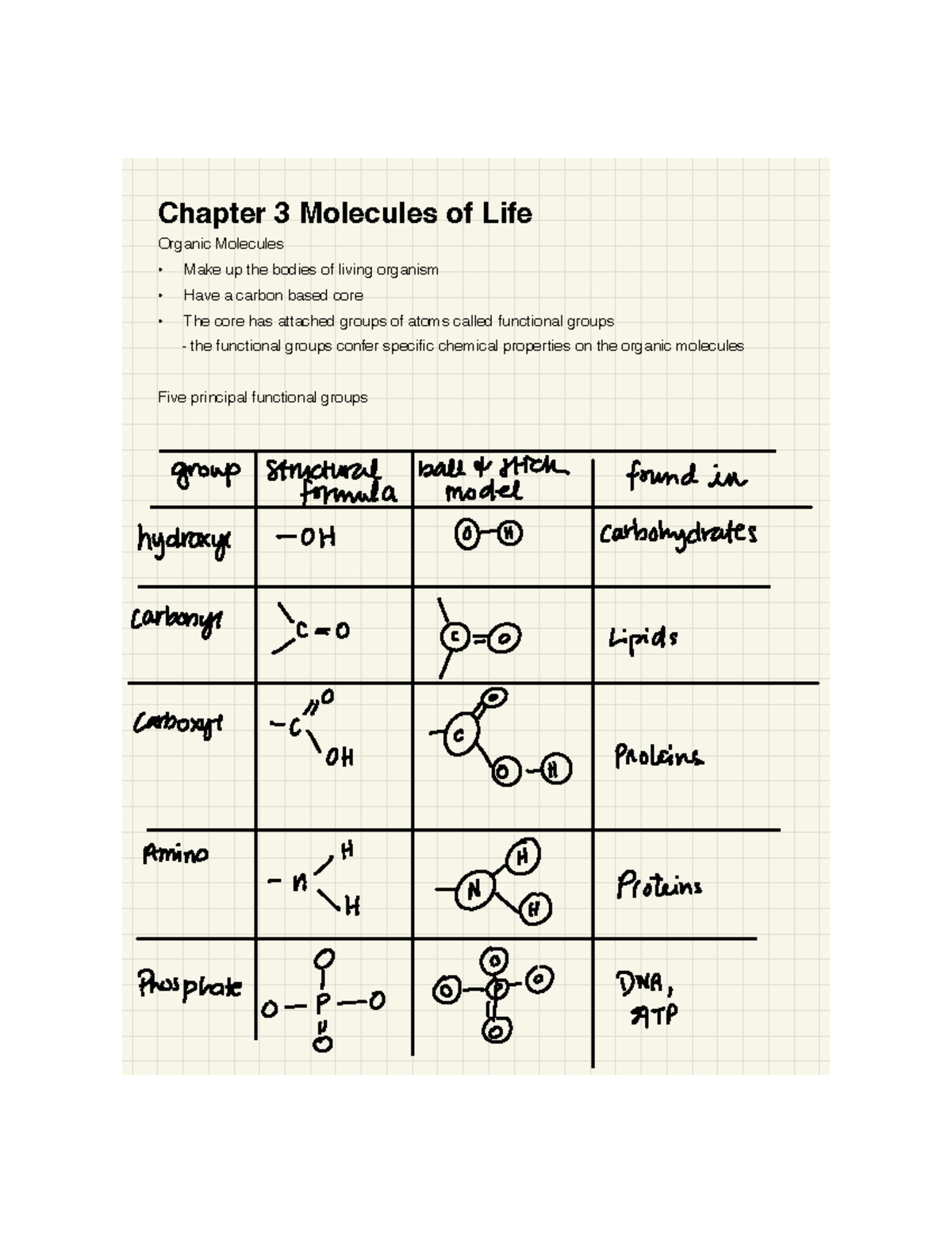 Biology 1010 - Chapter three - Chapter 3 Molecules of Life Organic ...