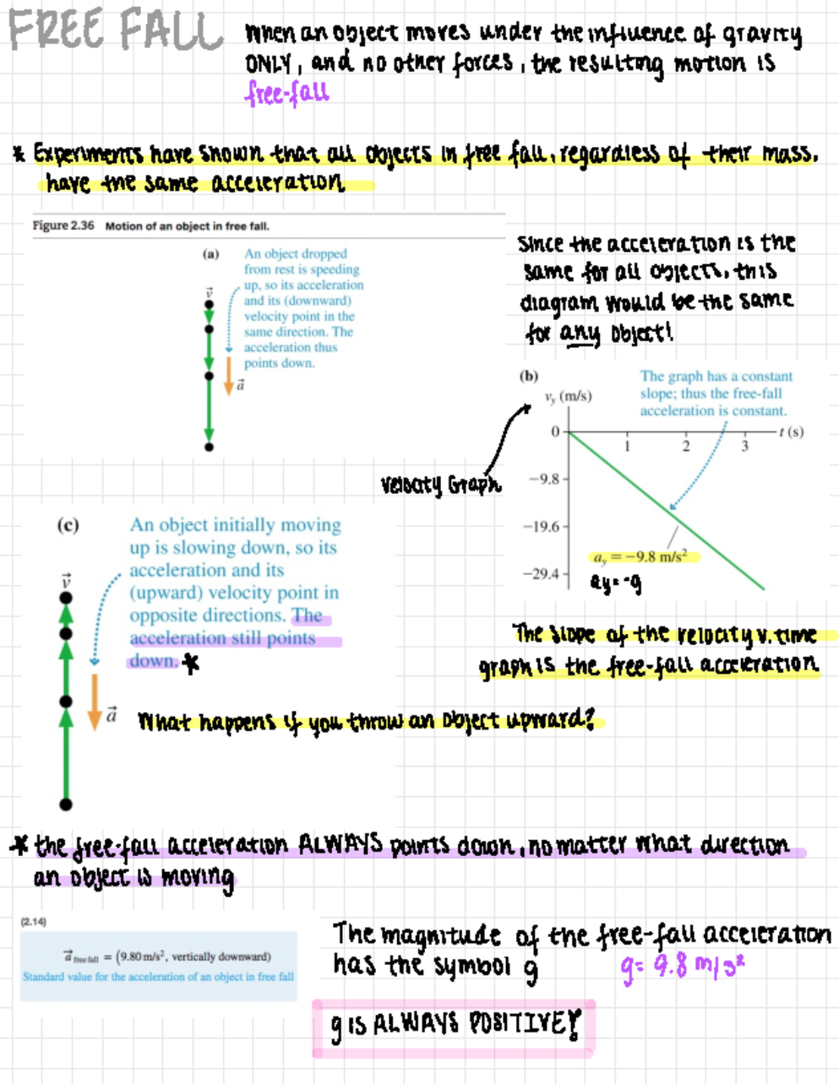 PHYS114 Free Fall And Vectors - FREE FALL When an object moves under ...