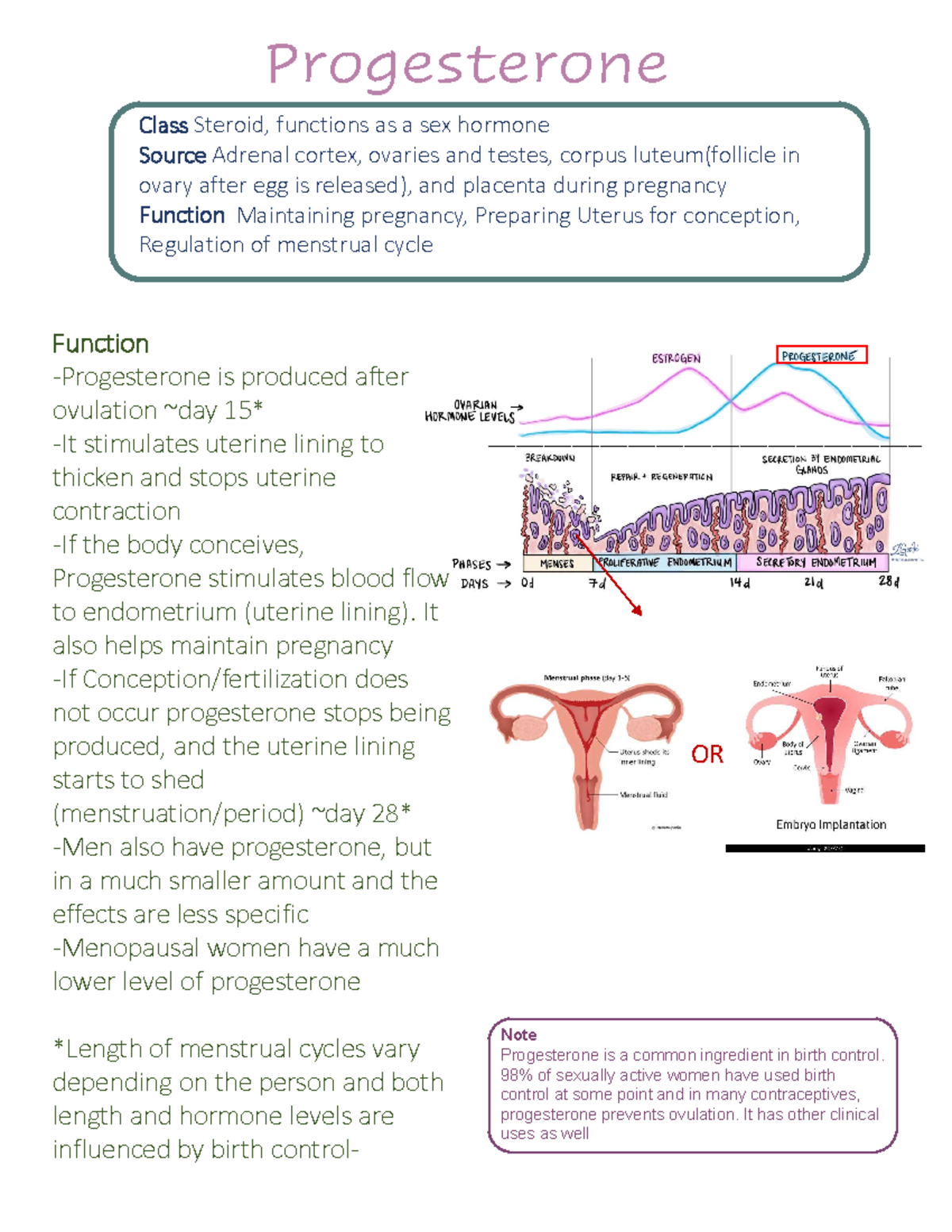 A+P Progesterone Poster - Function -Progesterone is produced after ...