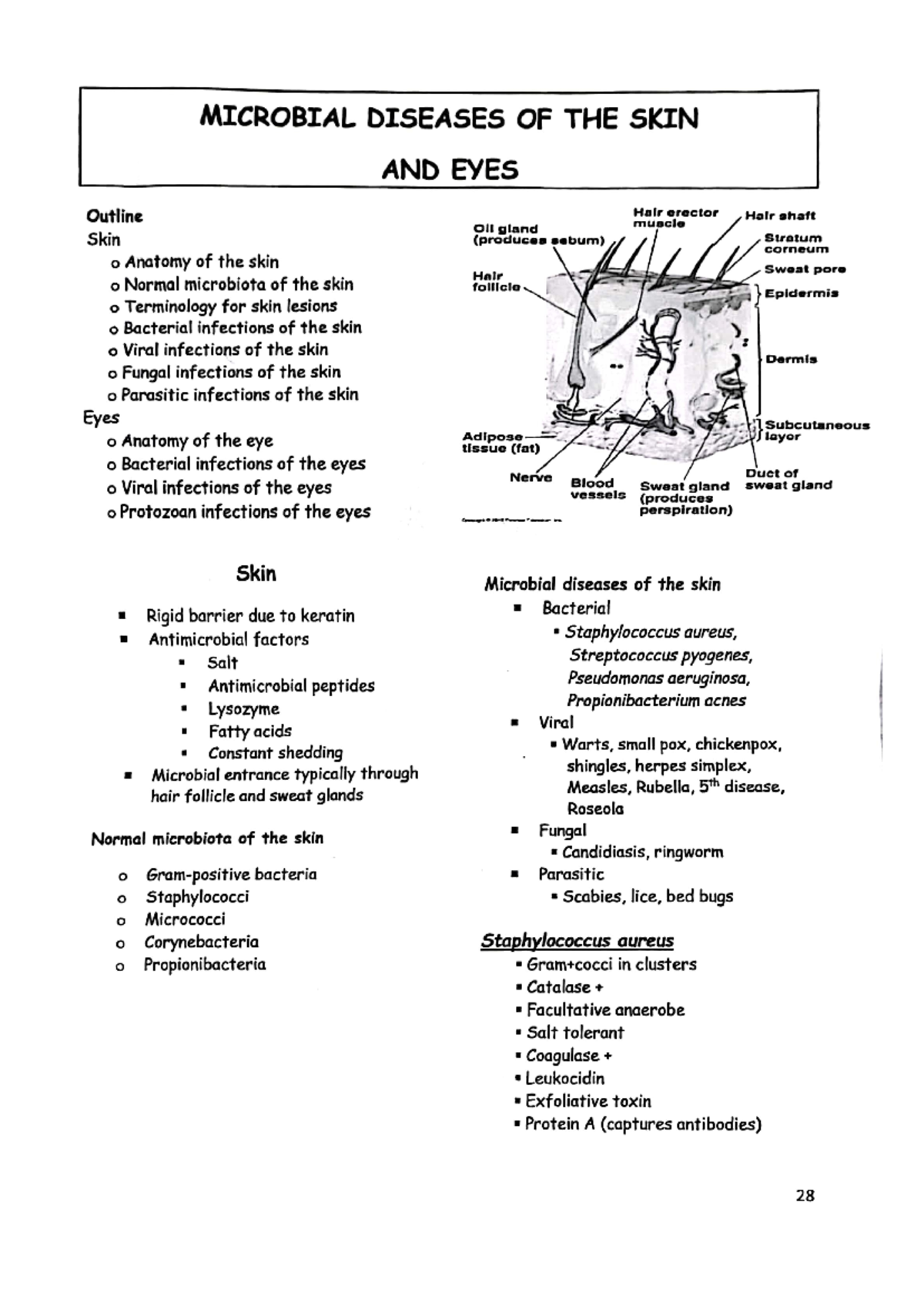 Microbio Reviewer - Hshshs - MICROBIAL DISEASES OF THE SKIN AND EYES ...
