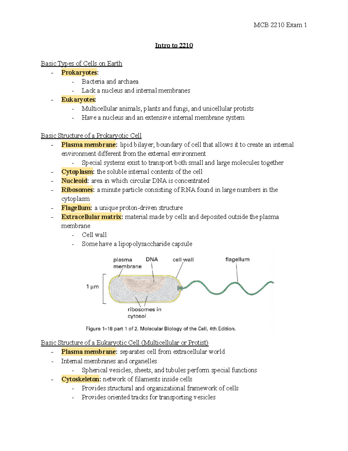MCB 2210 Block 1 - Spring 2022 - Intro to 2210 Basic Types of Cells on ...