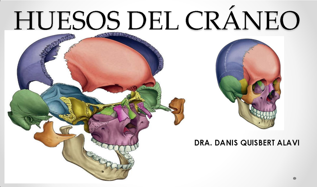H. Cráneo Fijo - resumen - HUESOS DEL CRÁNEO DRA. DANIS QUISBERT ALAVI ...