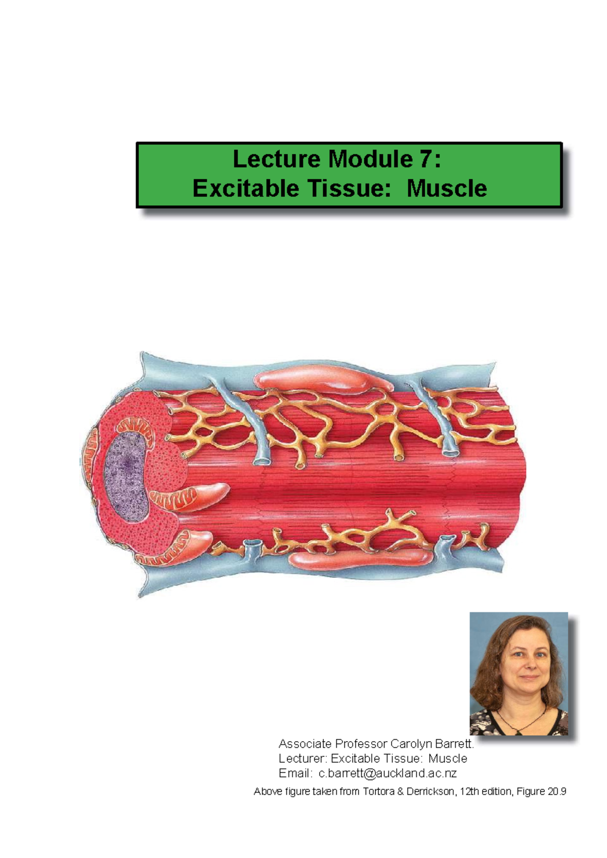 07 Muscle 2023 - Topic Guide - Associate Professor Carolyn Barrett ...