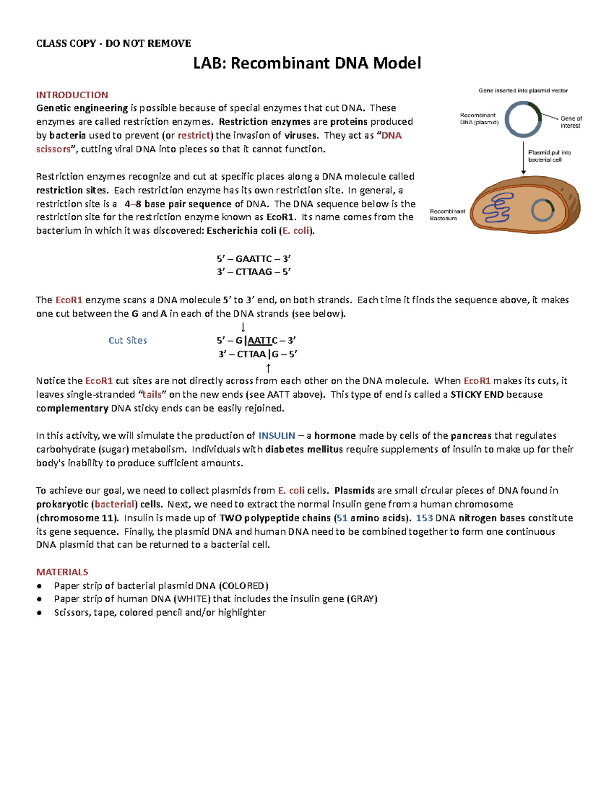 Recombinant DNA Lab Instructions (Revised 2022) - CLASS COPY - DO NOT ...