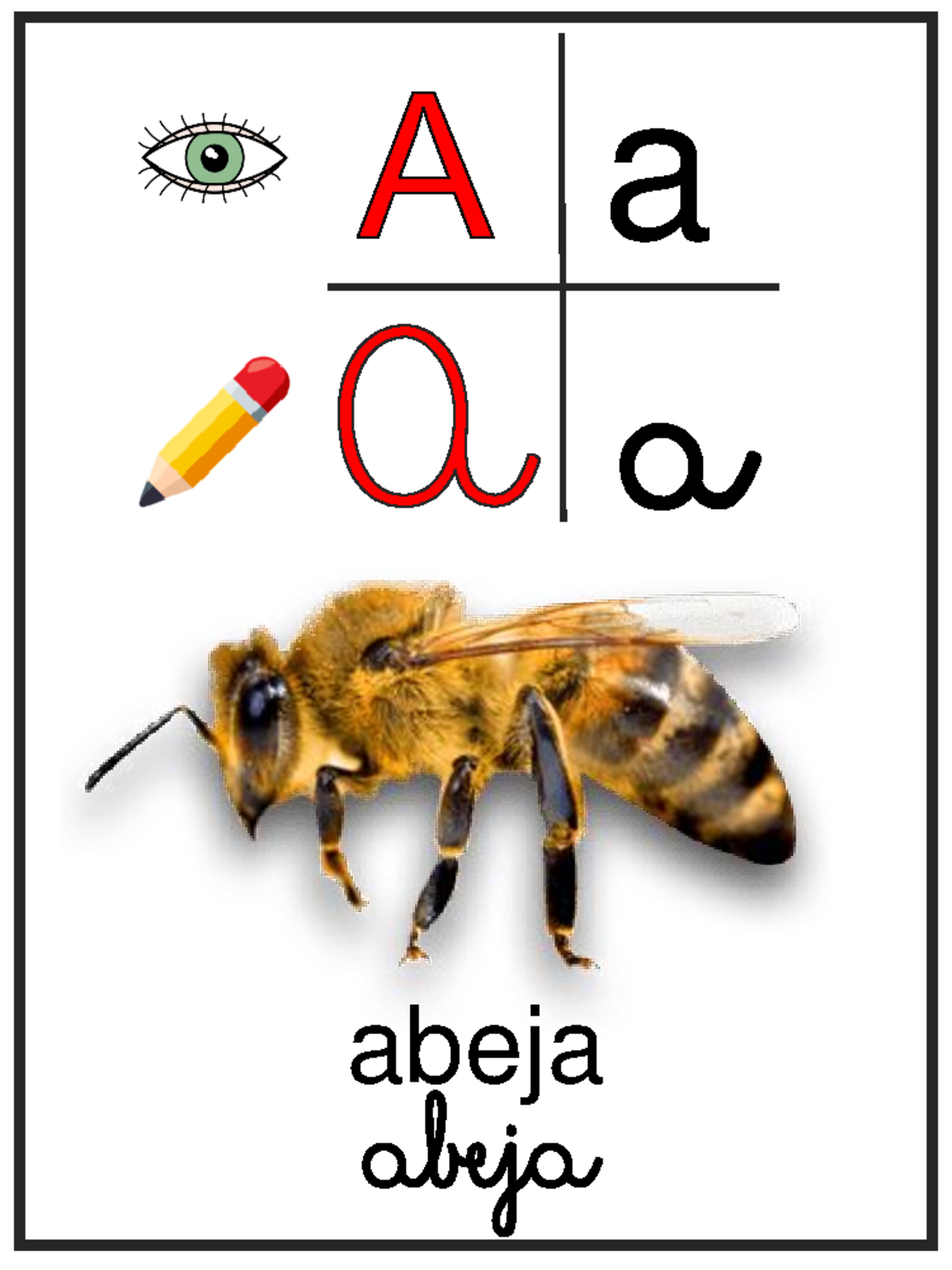 Abecedario matte - a a abeja abeja b b botella botella ch ch chocolate ...