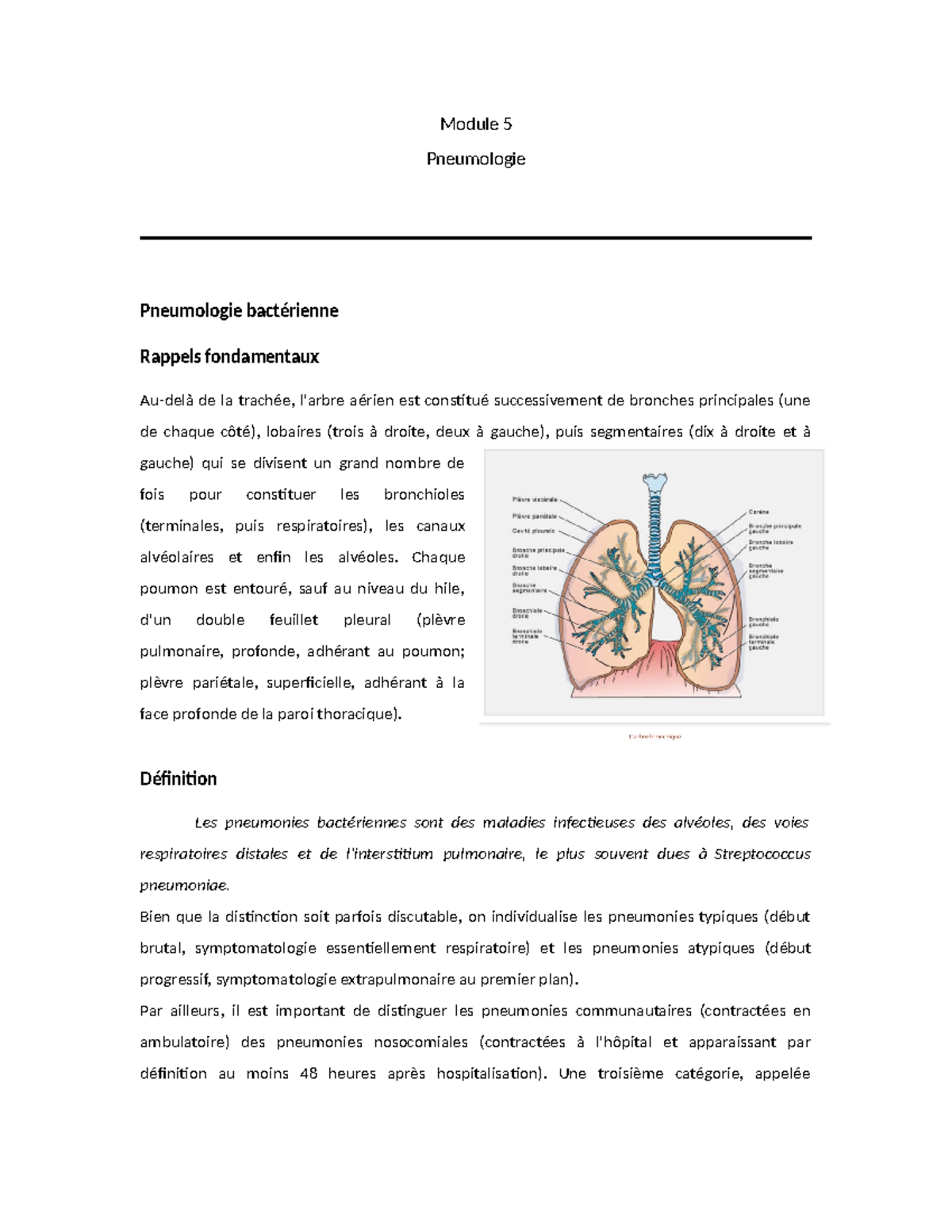 Pneumologie - Module 5 Pneumologie Pneumologie bactérienne Rappels fondamentaux Au-delà de la ...