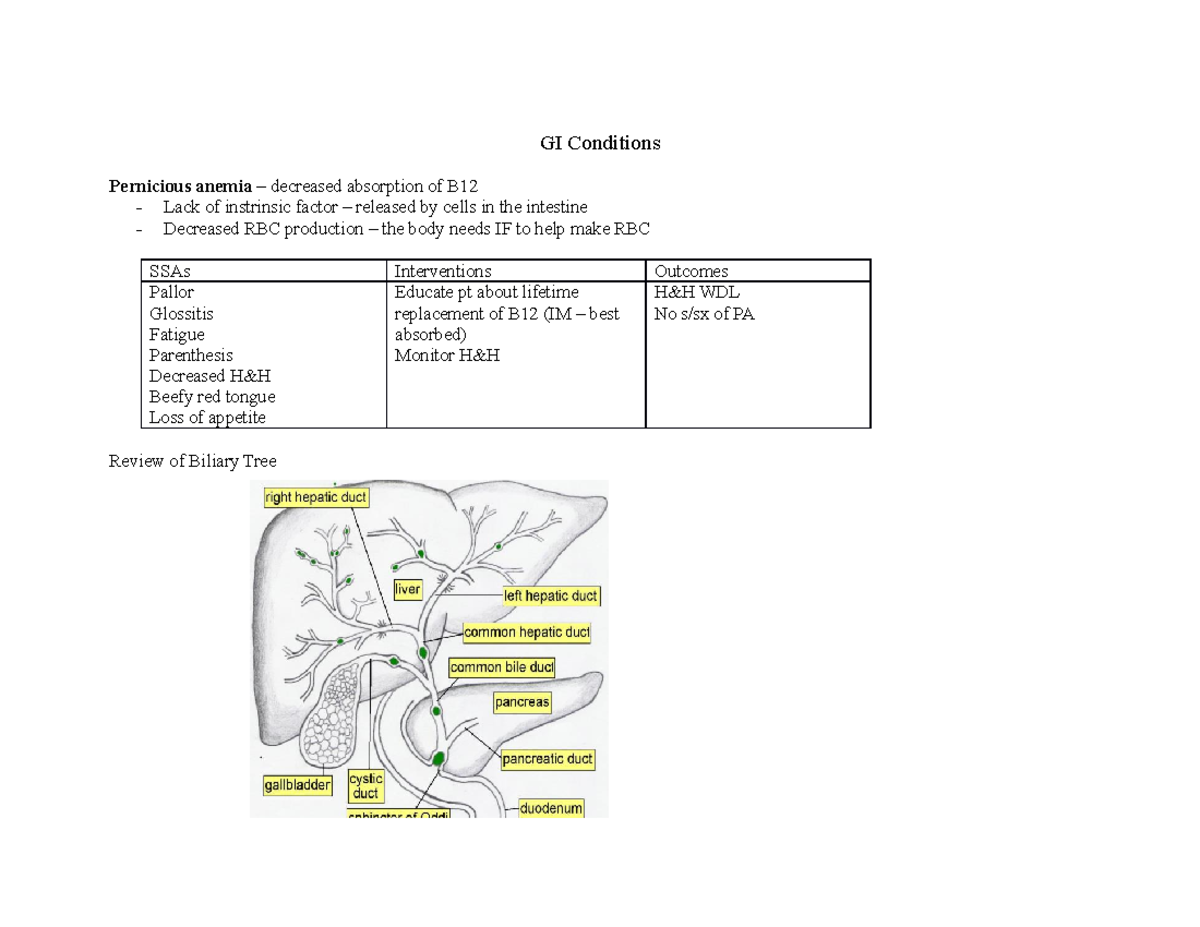 GI - Exam 3 - Med Surg 2 GI study guide - GI Conditions Pernicious ...