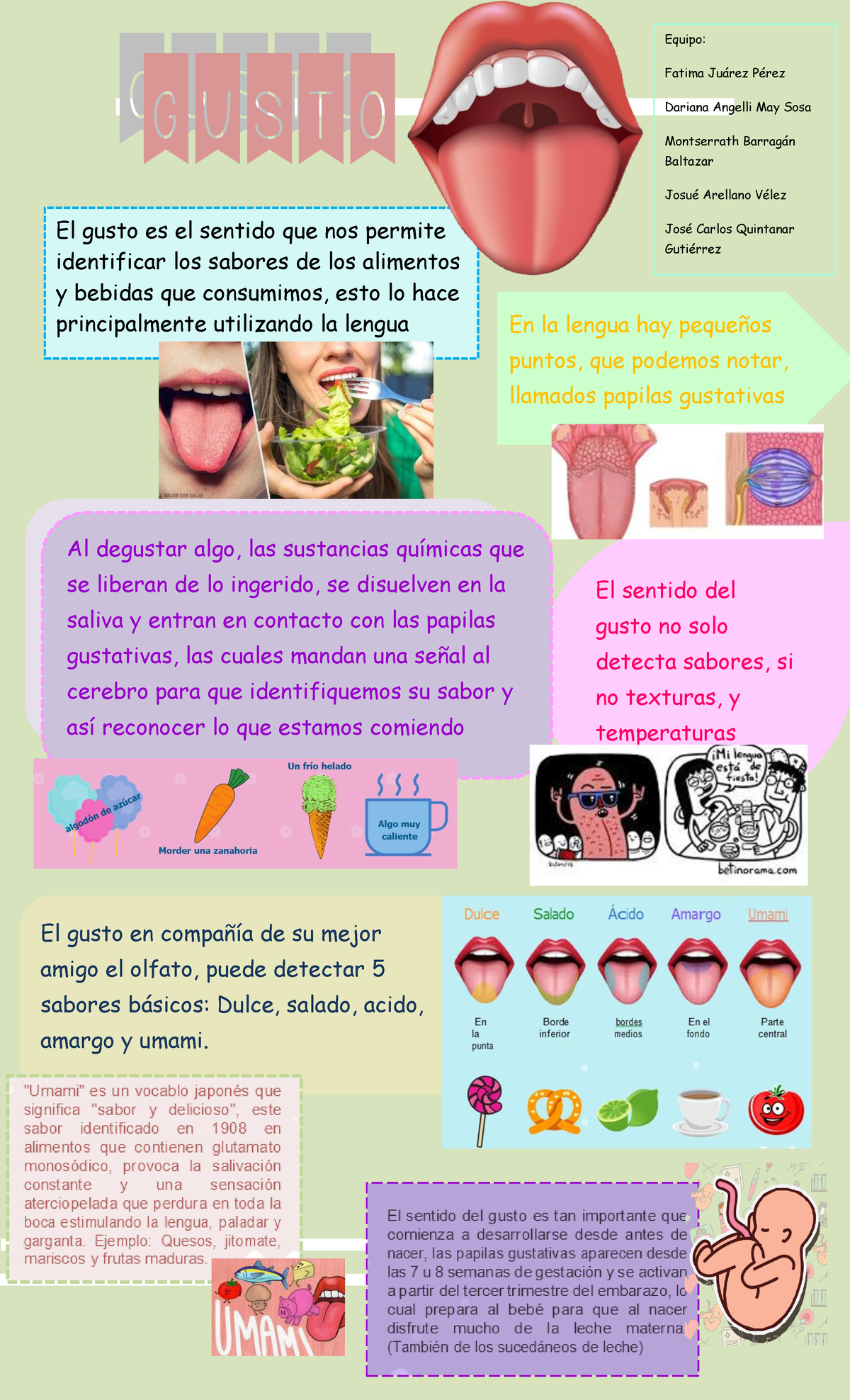 Gustoo Infografia Del Sentido Del Gusto Tema percepci n El