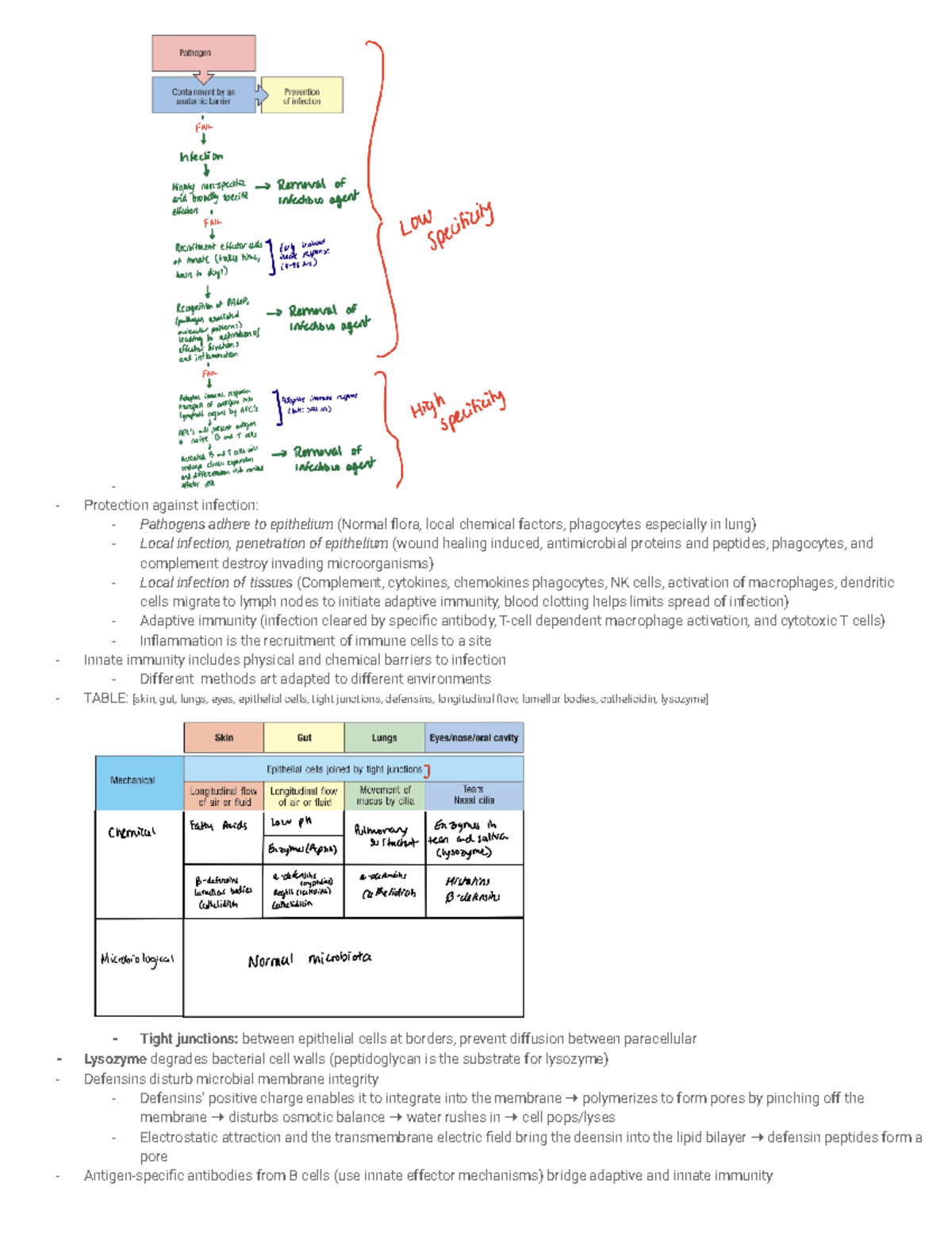 Immunology E1P4 - Dr. Brian Daniels - Protection against infection ...