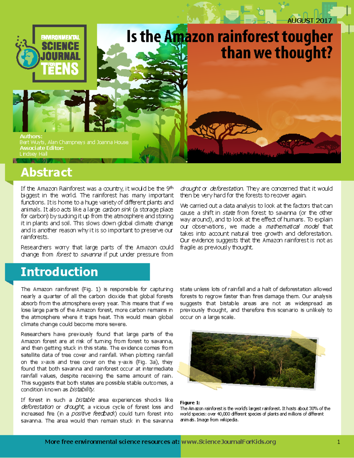 Is the Amazon rainforest tougher than we thought - 1 Is the Amazon ...