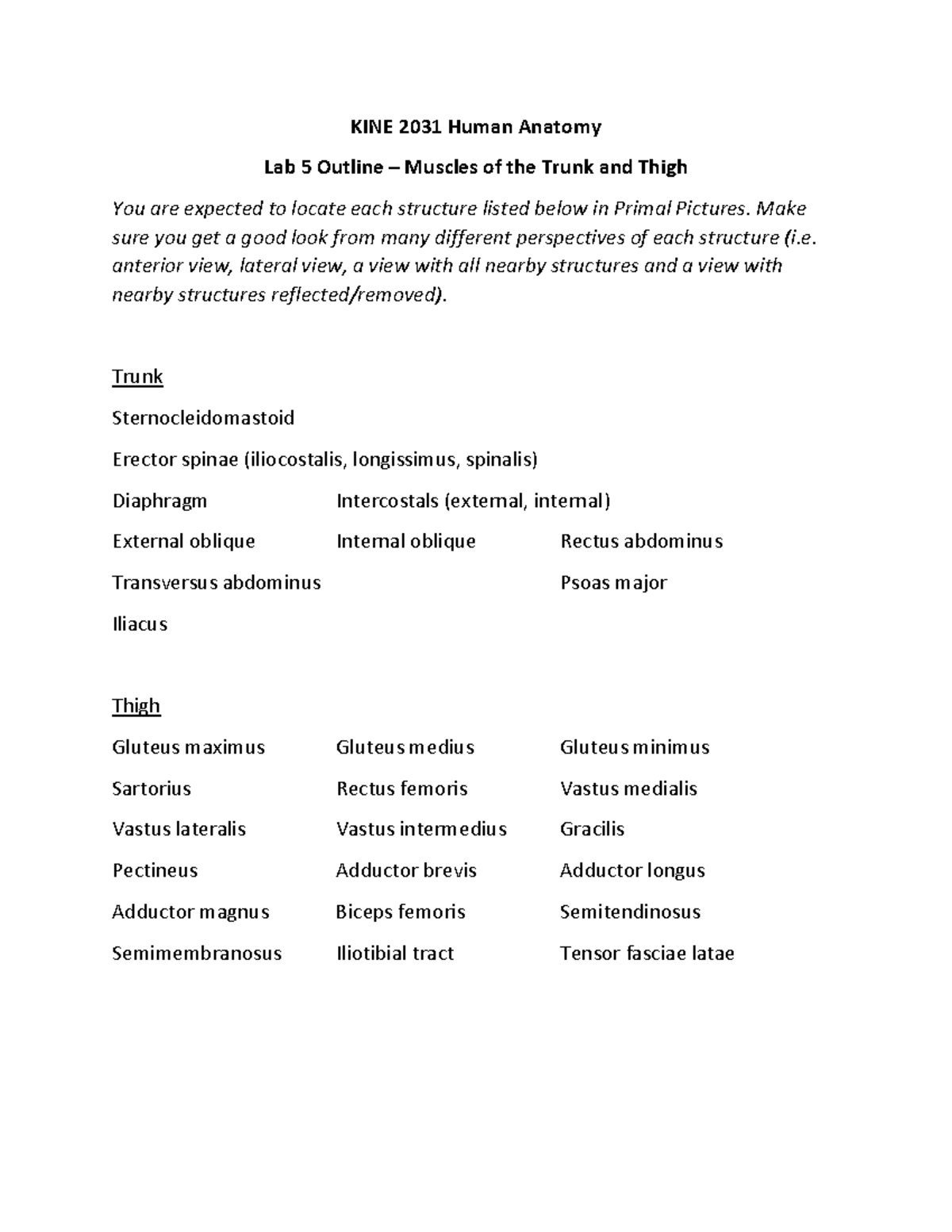 Lab 5 Outline - Muscles of the Trunk and Thigh - KINE 2031 Human ...