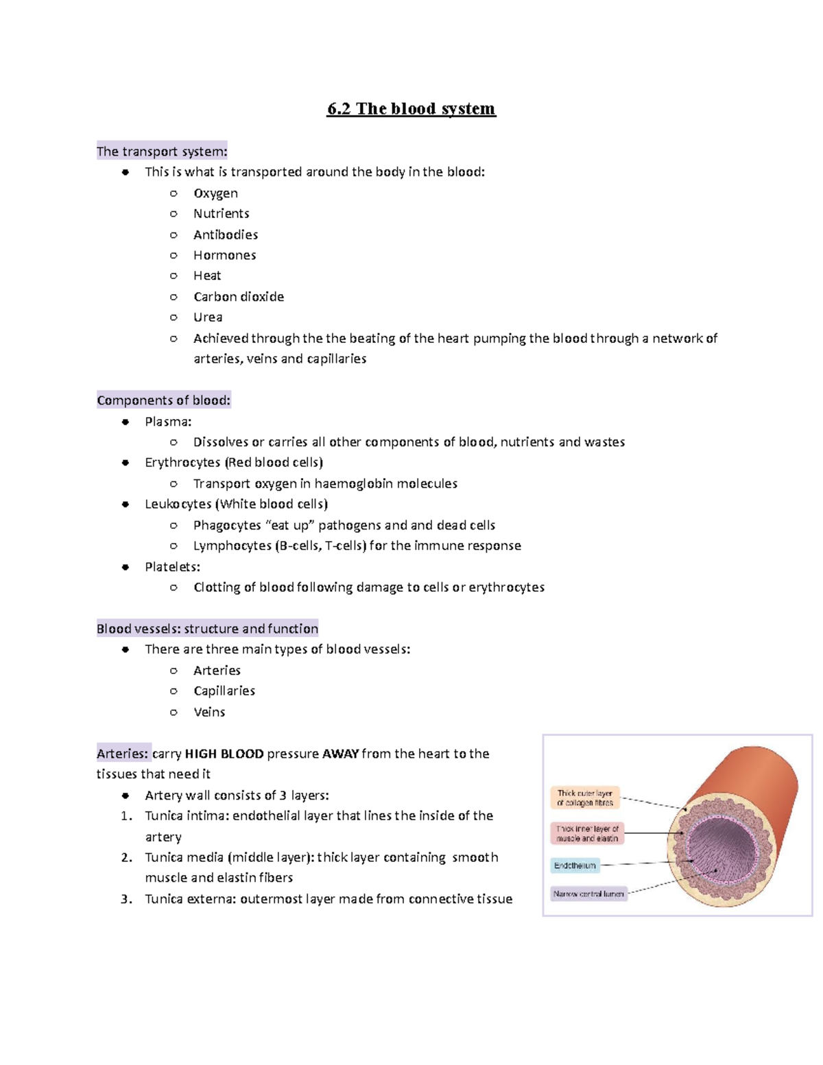 6.2 Blood System - 6 The blood system The transport system: This is ...