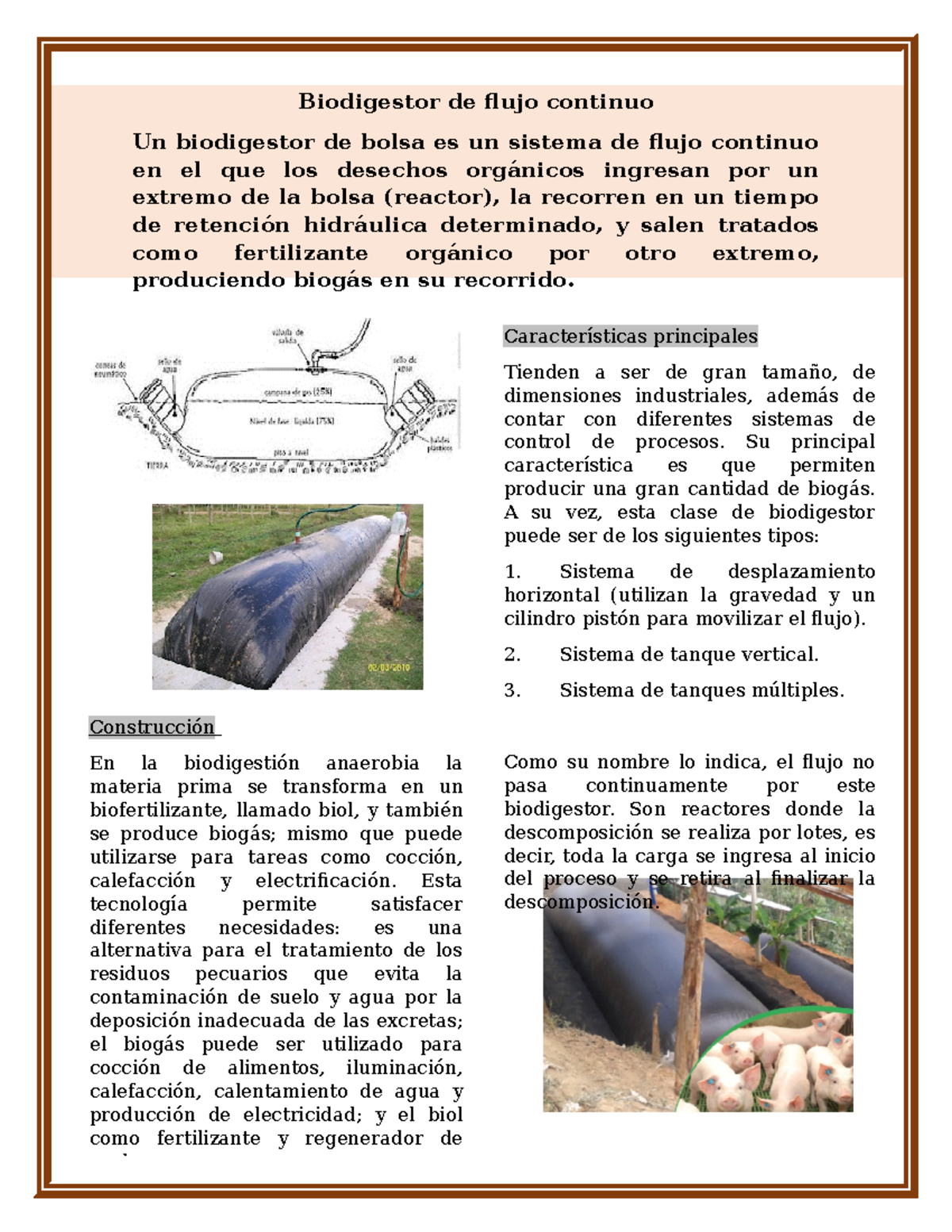 Biodigestor de flujo continuo - Características principales Tienden a ...