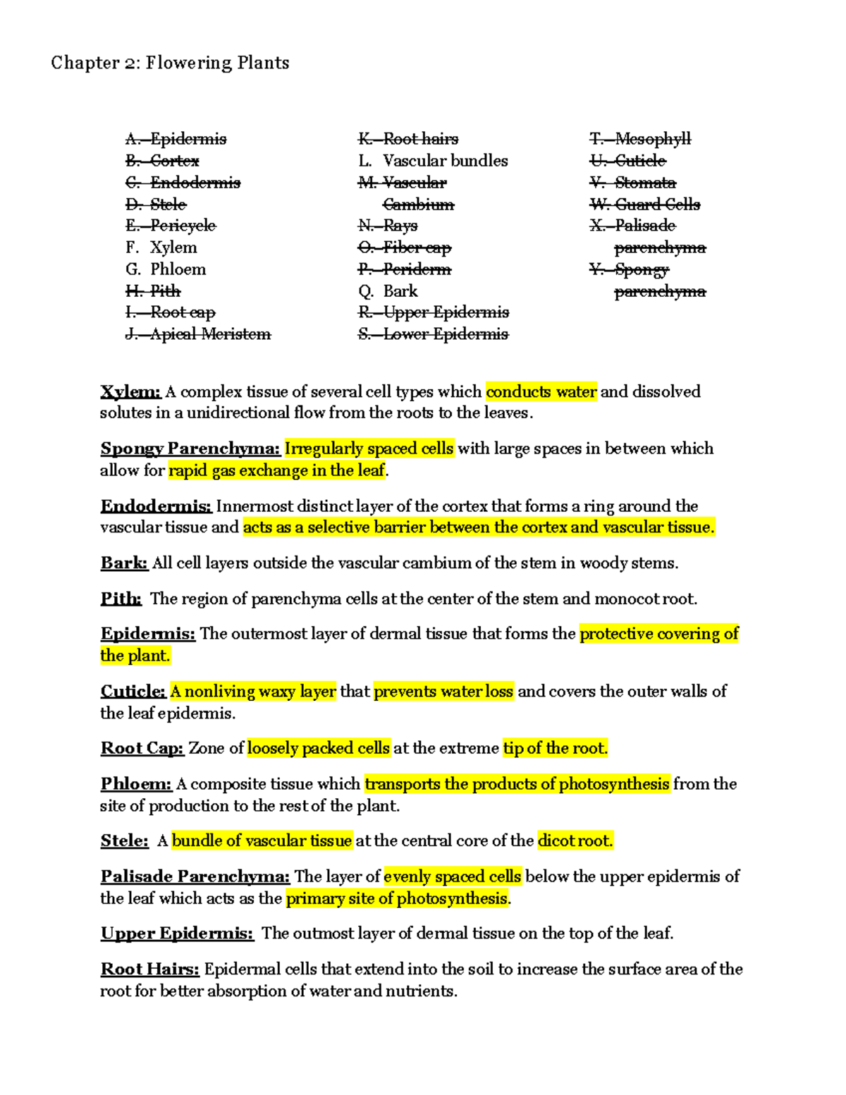 Chapter 2 Vocabbio 102 - Chapter 2: Flowering Plants A. Epidermis B ...