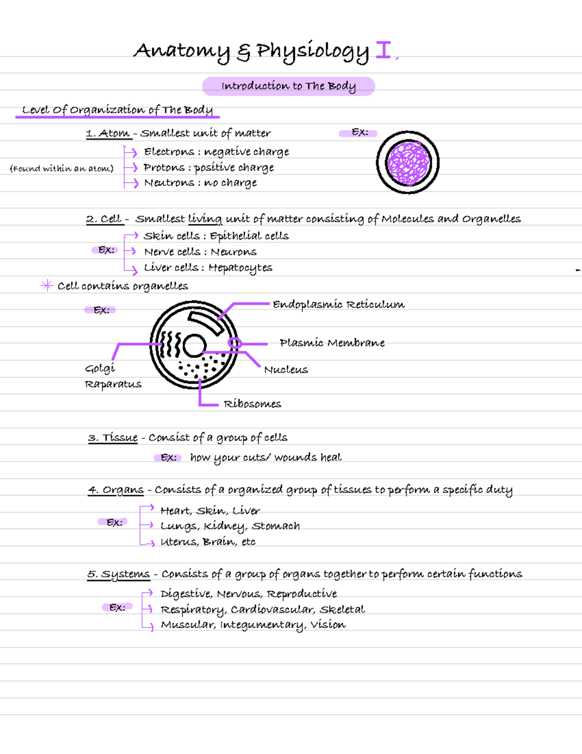 Introduction To The Body - Anatomy & Physiology Introduction to The ...