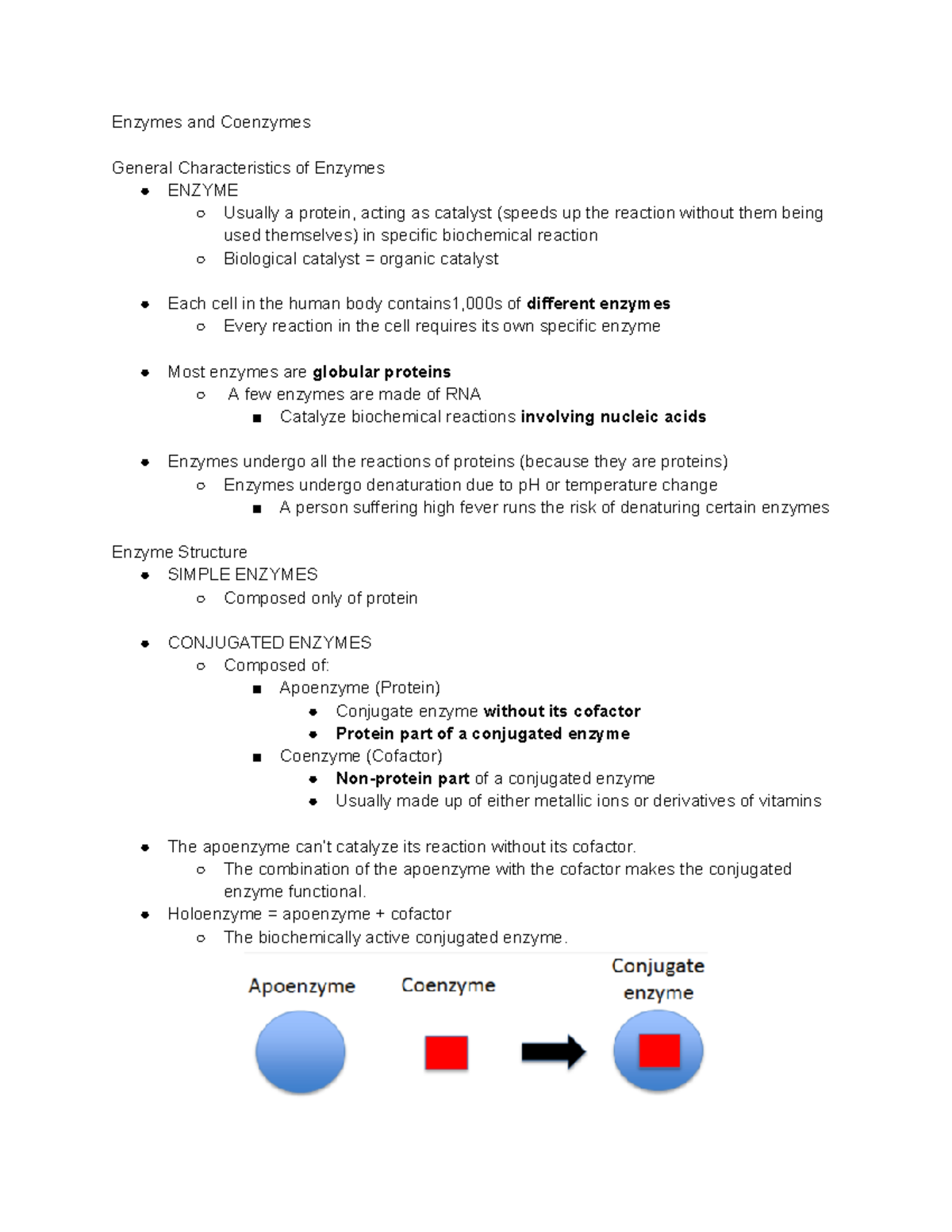 Enzymes and Coenzymes - Enzymes and Coenzymes General Characteristics ...