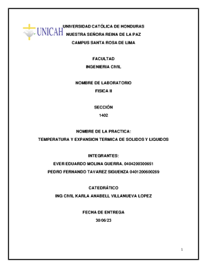 Informe Movimiento Rectilineo Uniforme de Lab. de Fisica 1- Pedro ...