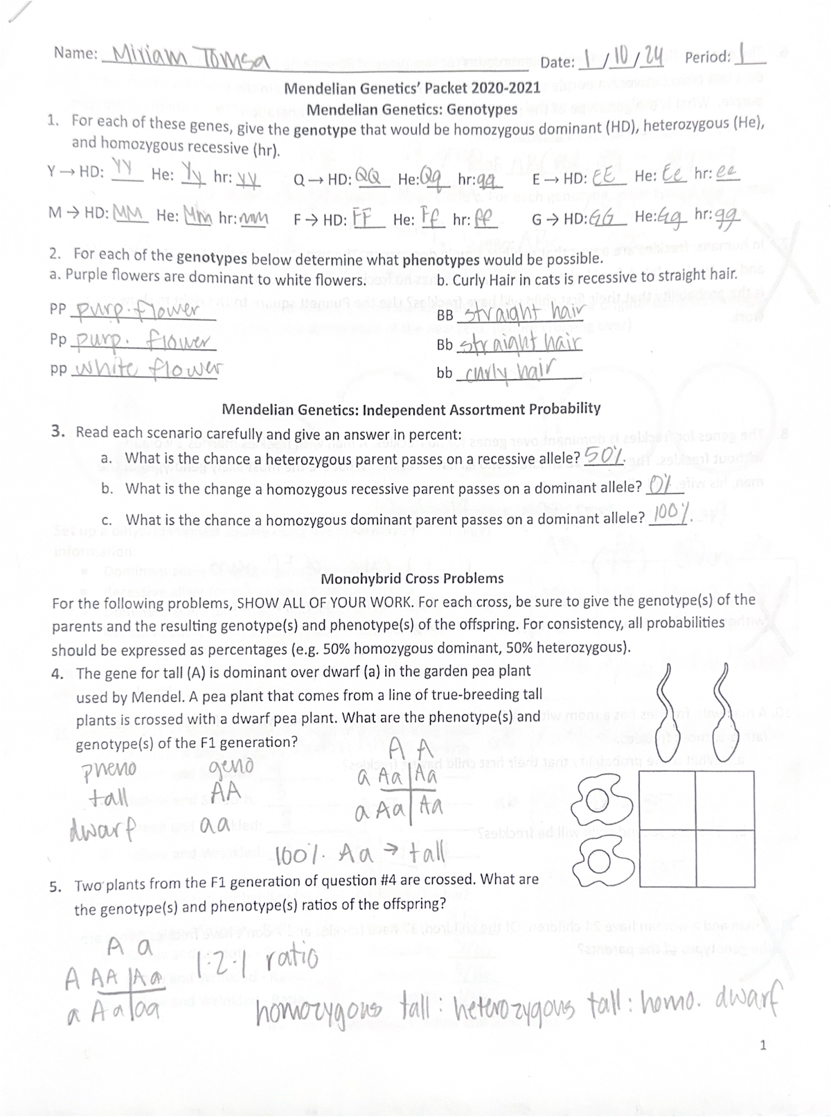 Genetics problems - Studocu