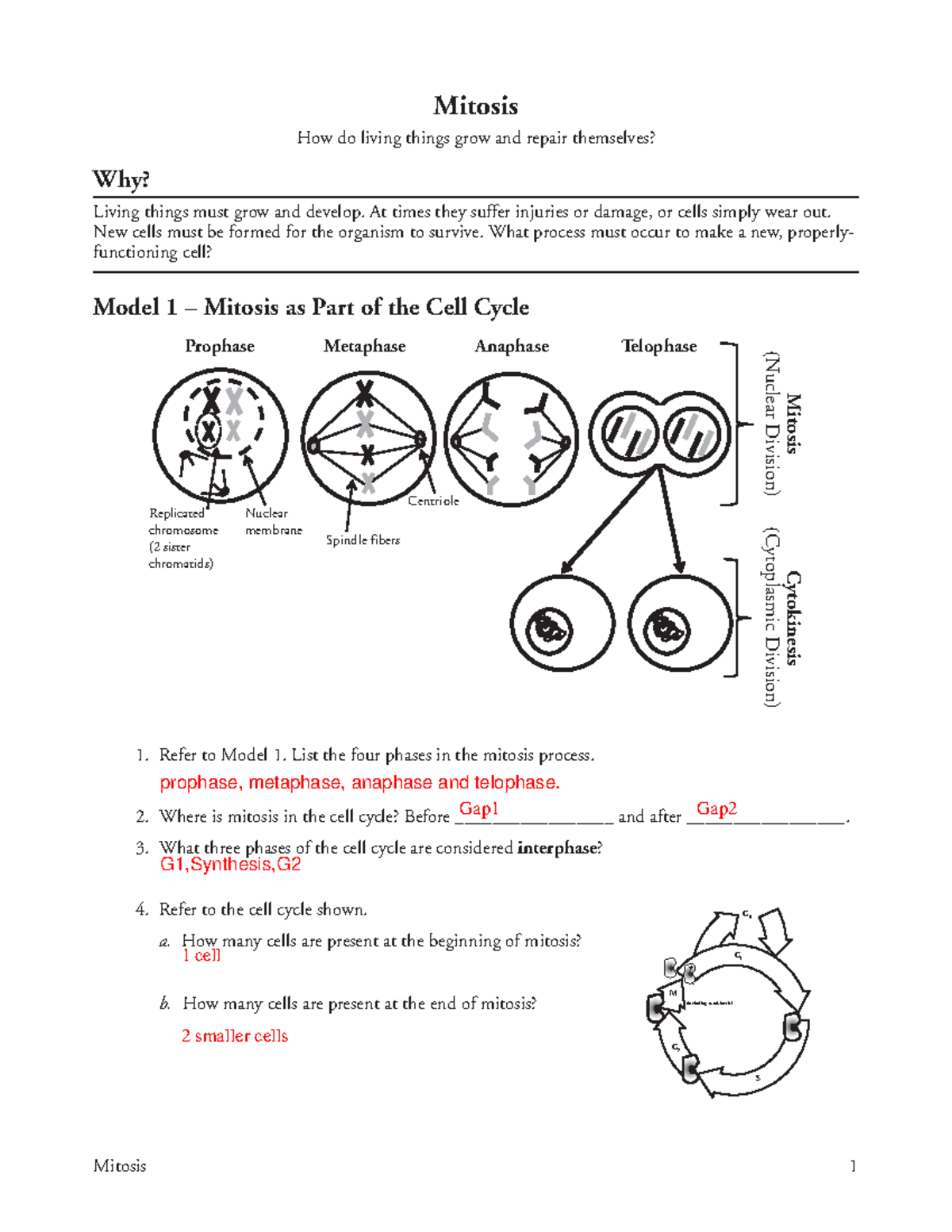 Copy of 16 Mitosis-S - 16 cell biology - Mitosis 1 Mitosis How do ...