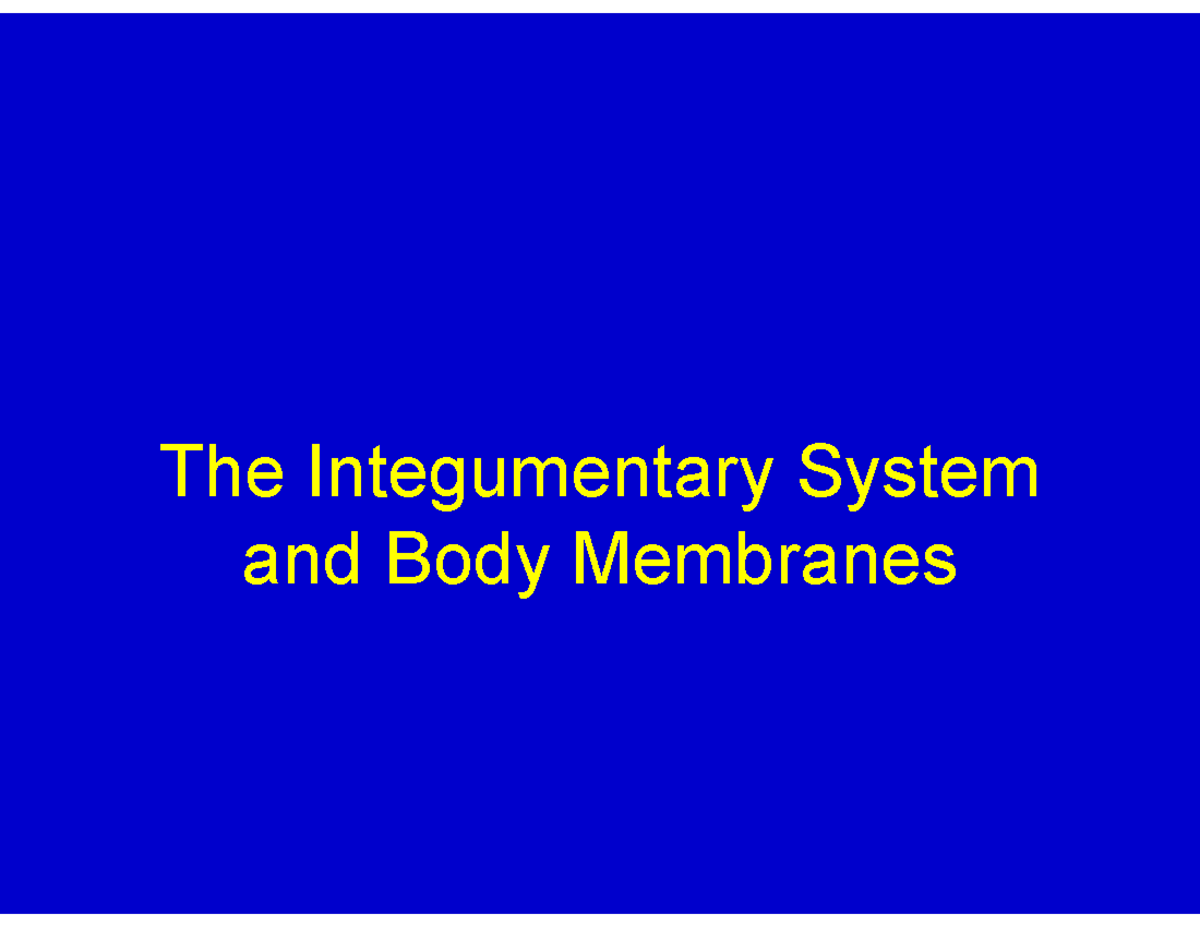 Integumentary System - ) Mucous membranes Line body surfaces that open ...