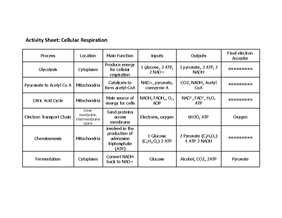 activity sheet: cellular respiration - Activity Sheet: Cellular ...
