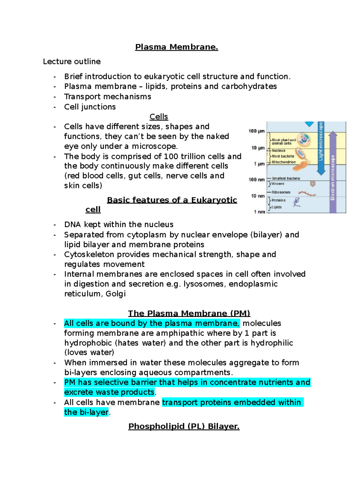 Plasma Membrane Revision Guide - Plasma Membrane. Lecture outline Brief ...
