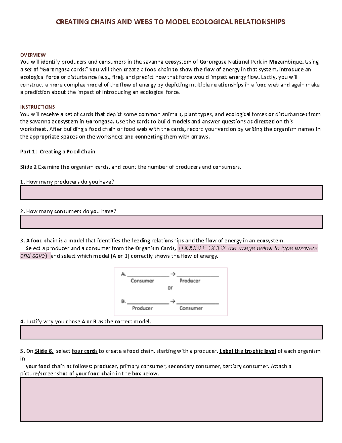 Kami Export - Copy of Creating Chains and Webs HHMI - CREATING CHAINS ...