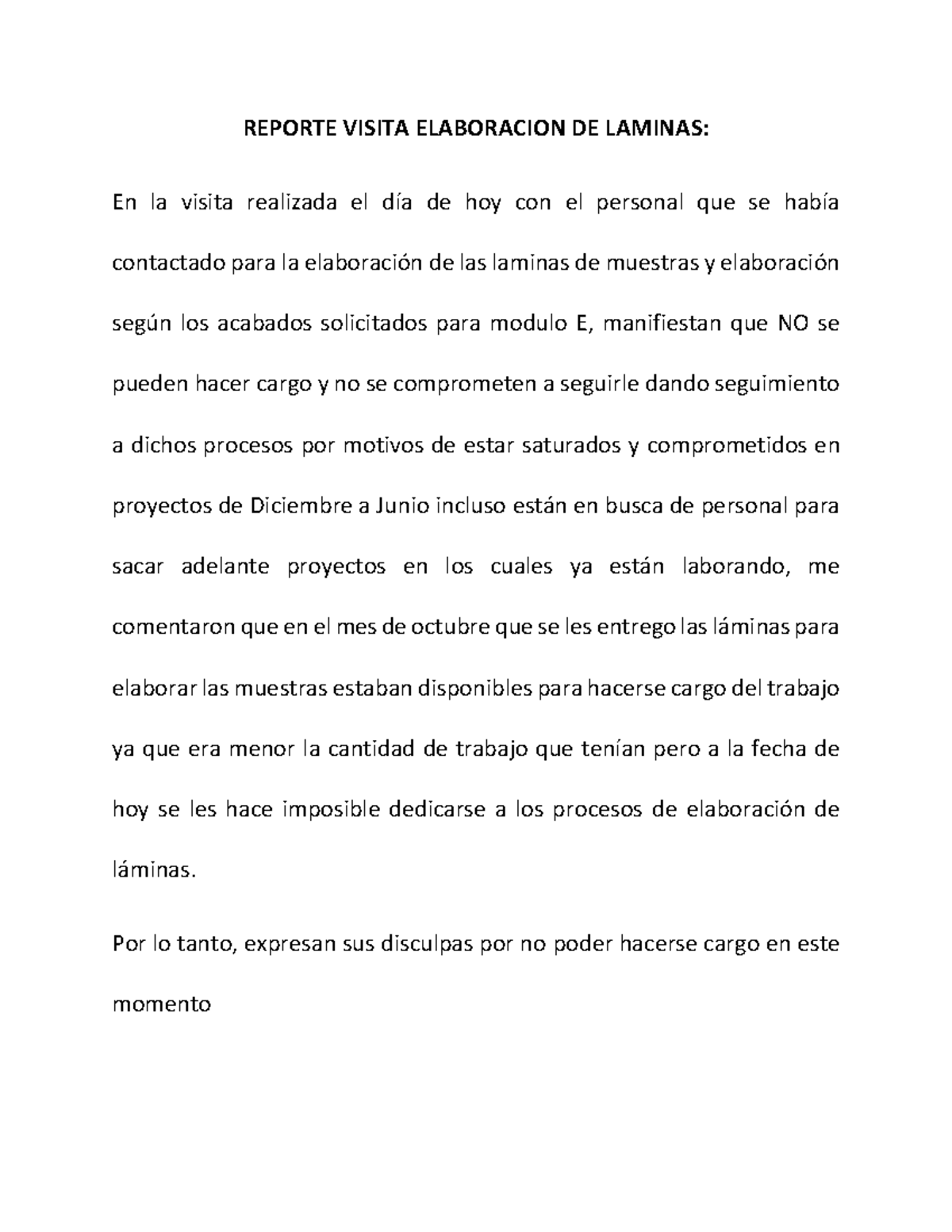Reporte Visita Elaboracion DE Laminas - REPORTE VISITA ELABORACION DE ...