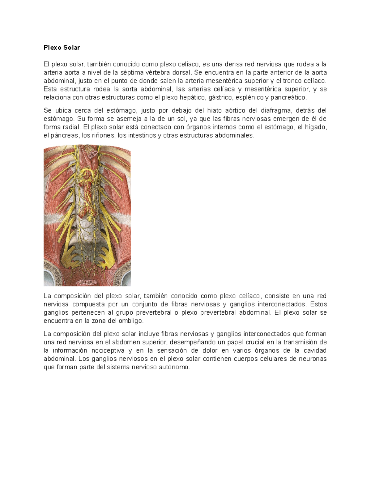 Digestivo Consulta - Plexo Solar El plexo solar, también conocido como ...