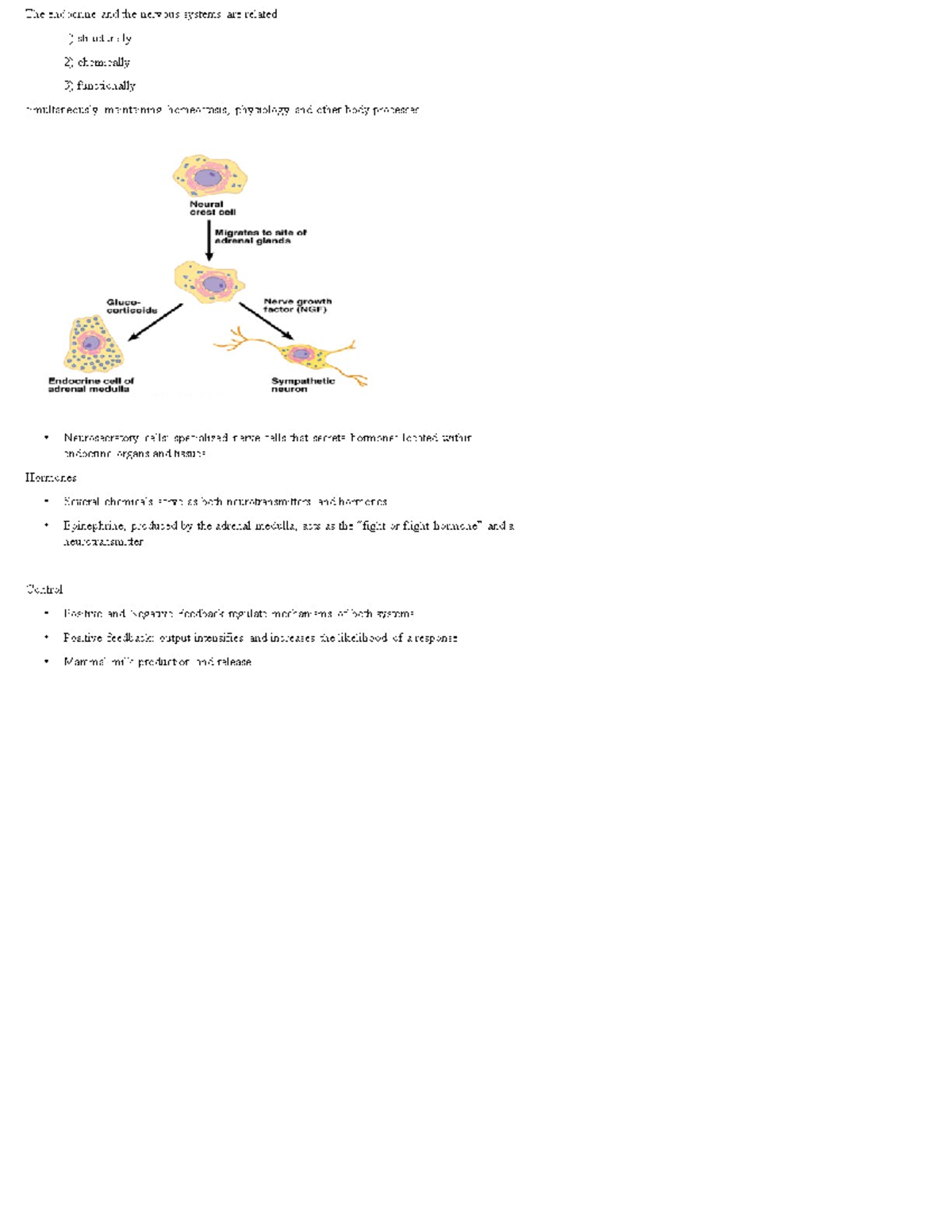 Sensory System BIO 234 Pt.3 - BIO 234 - Studocu