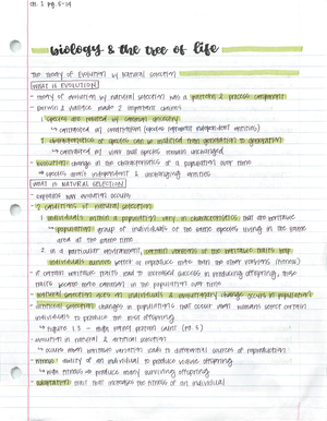 Scene 3 - Script 3 - Scene 3 Character Donya Victorina - Hannah Donya ...