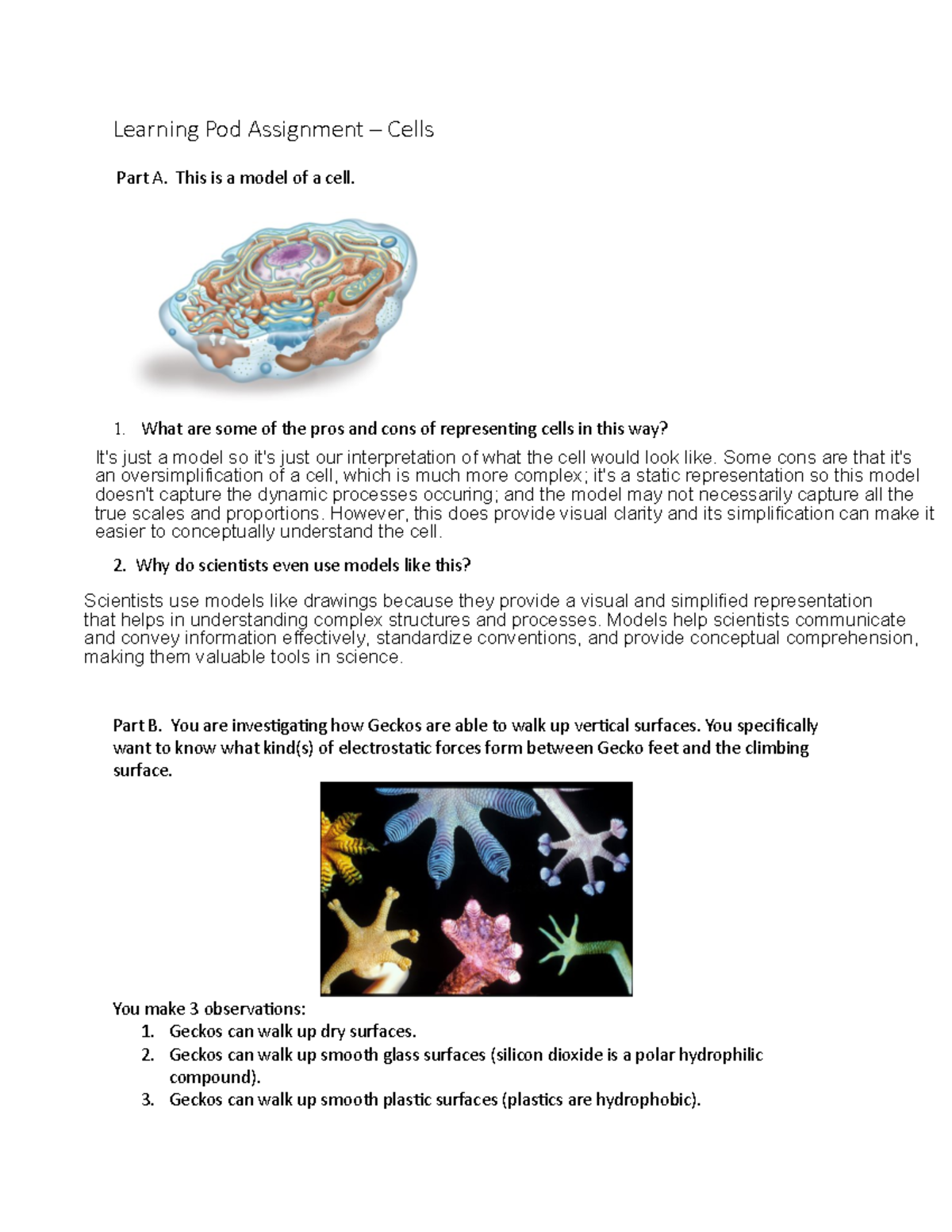 Pod Week 1 - Cell Org - Weekly Learning Pod Worksheet - Learning Pod ...