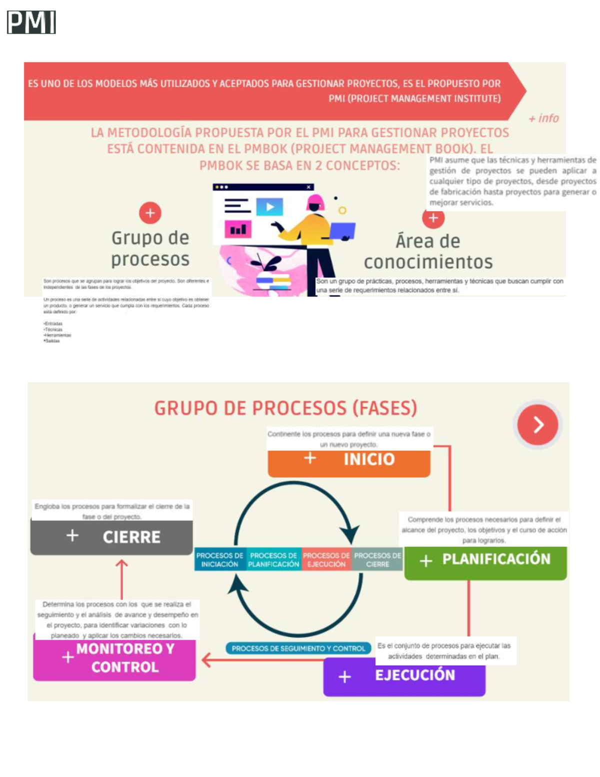 Pmi Pmi Gestión De Proyectos Apuntes Gestión De La Integración Del