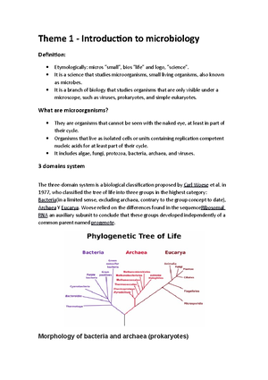 Antibiotics - Antibiotic - Mechanisms Names Examples Notes Inhibition ...