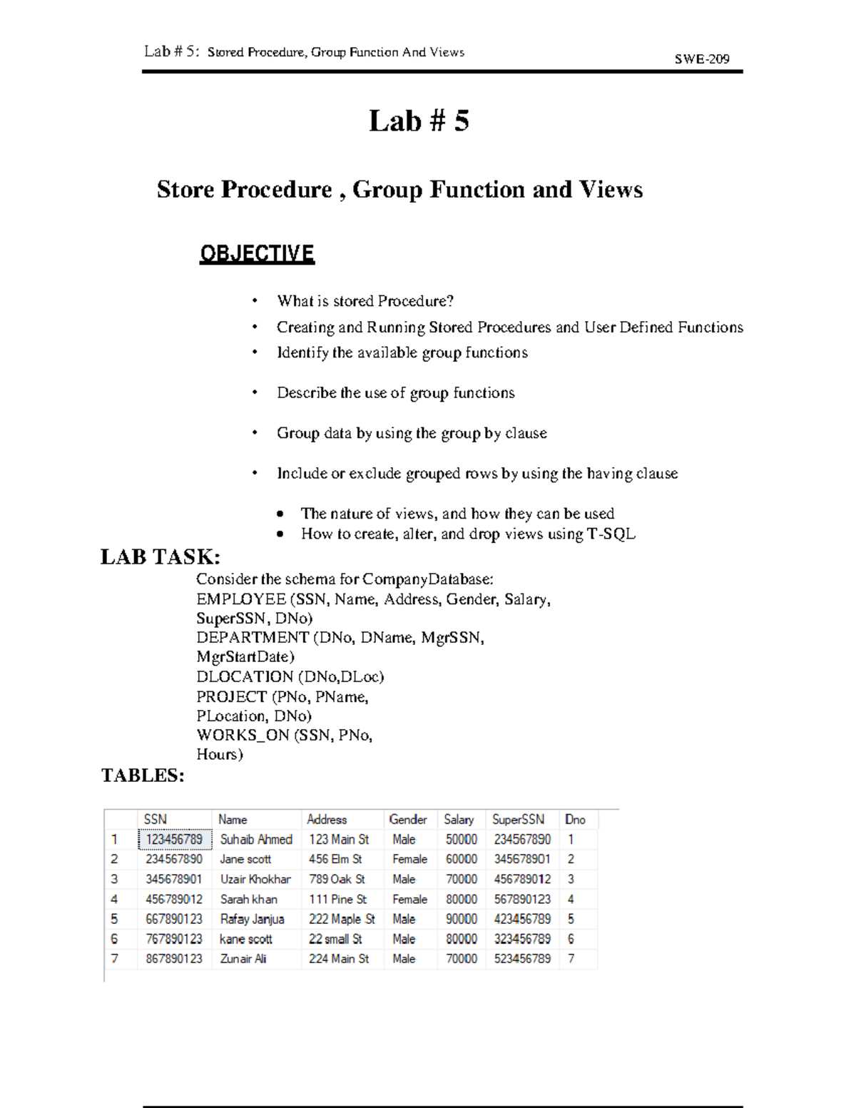 LAB 5 solved - Store Procedure , Group Function and Views - Lab # 5 ...