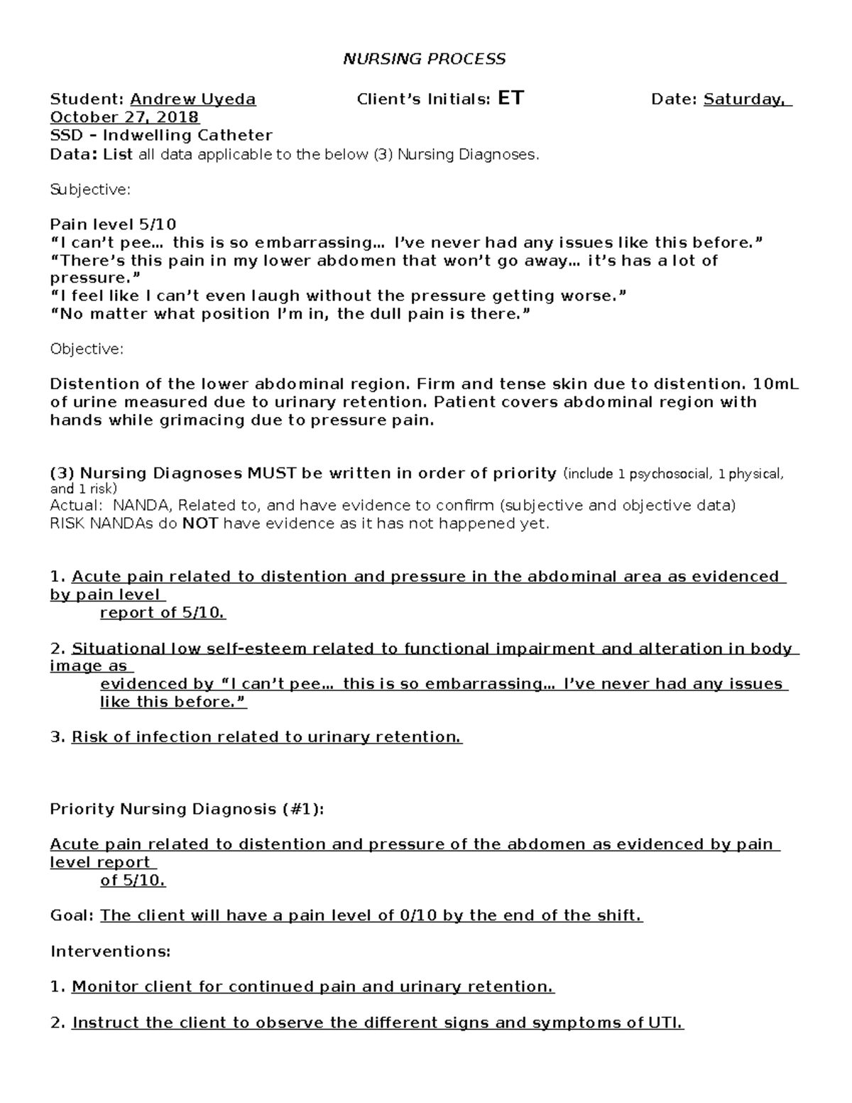 Nursing Process Form - SSD Indwelling Catheter - Fall 2018 - NURSING ...