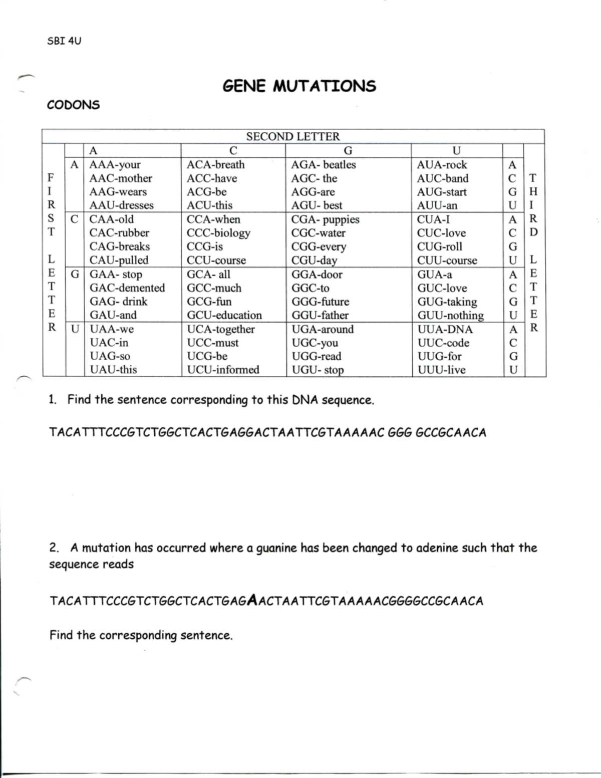gene mutations activity - Biol102 - Studocu
