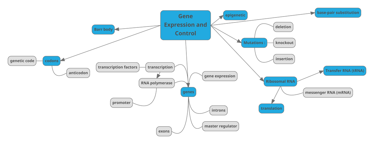 Concept Map 5 - BIO 181 - Gene Expression and Control genes gene ...