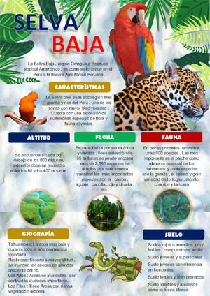 Trabajo final de algoritmos computacionales - p“Año de la unidad, la paz y el desarrollo” - Studocu