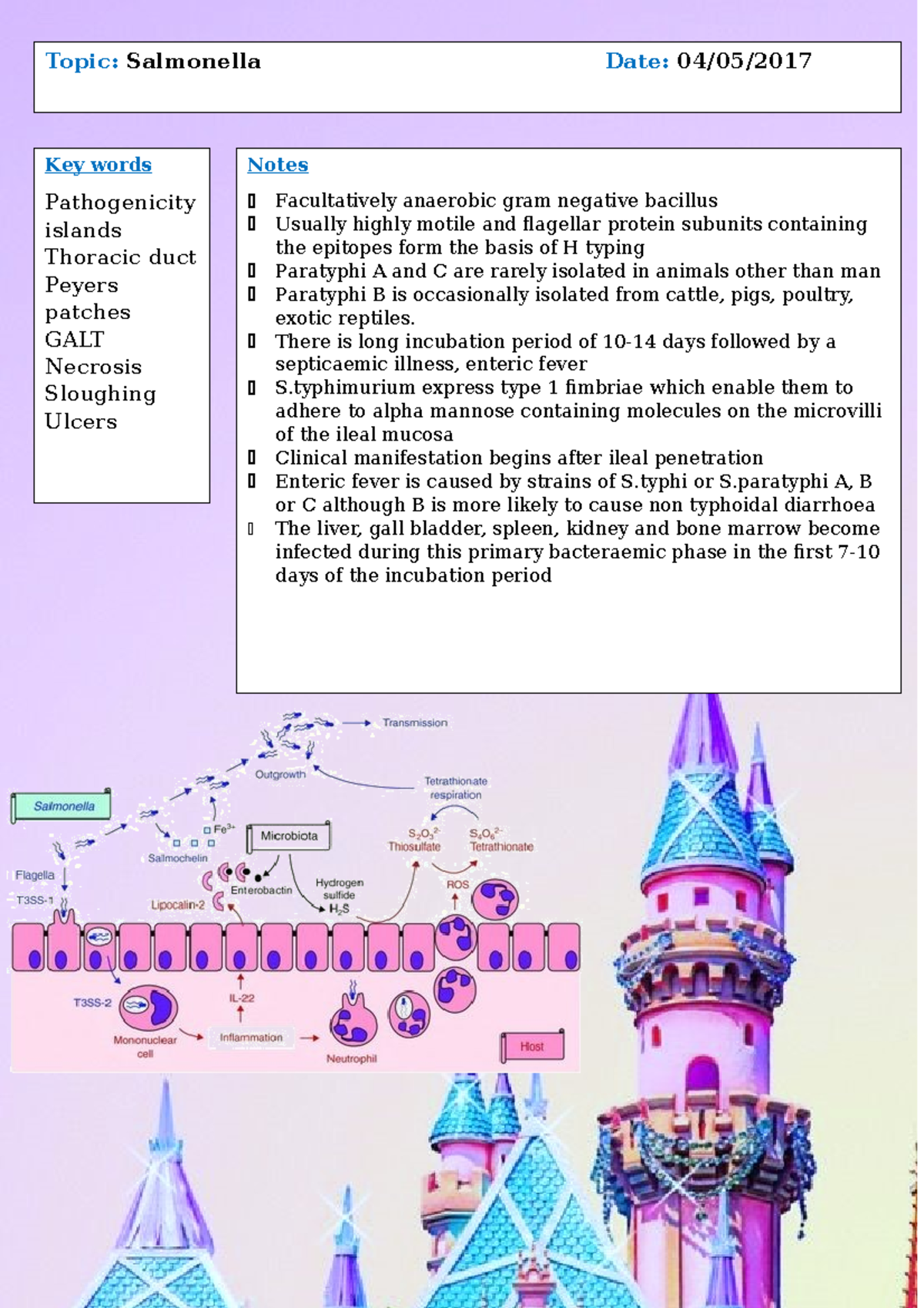 Salmonella revision sheet - Topic: Salmonella Date: Key words Notes ...