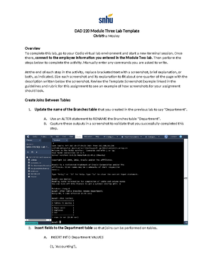 DAD 220 Module Three Major Activity Database Documentation Template - Replace the bracketed text ...