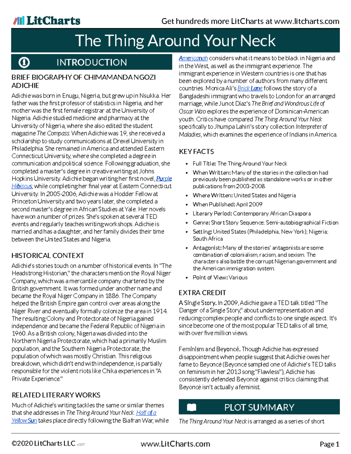 The Thing Around Your Neck Lit Chart - The Thing Around Your Neck BRIEF ...