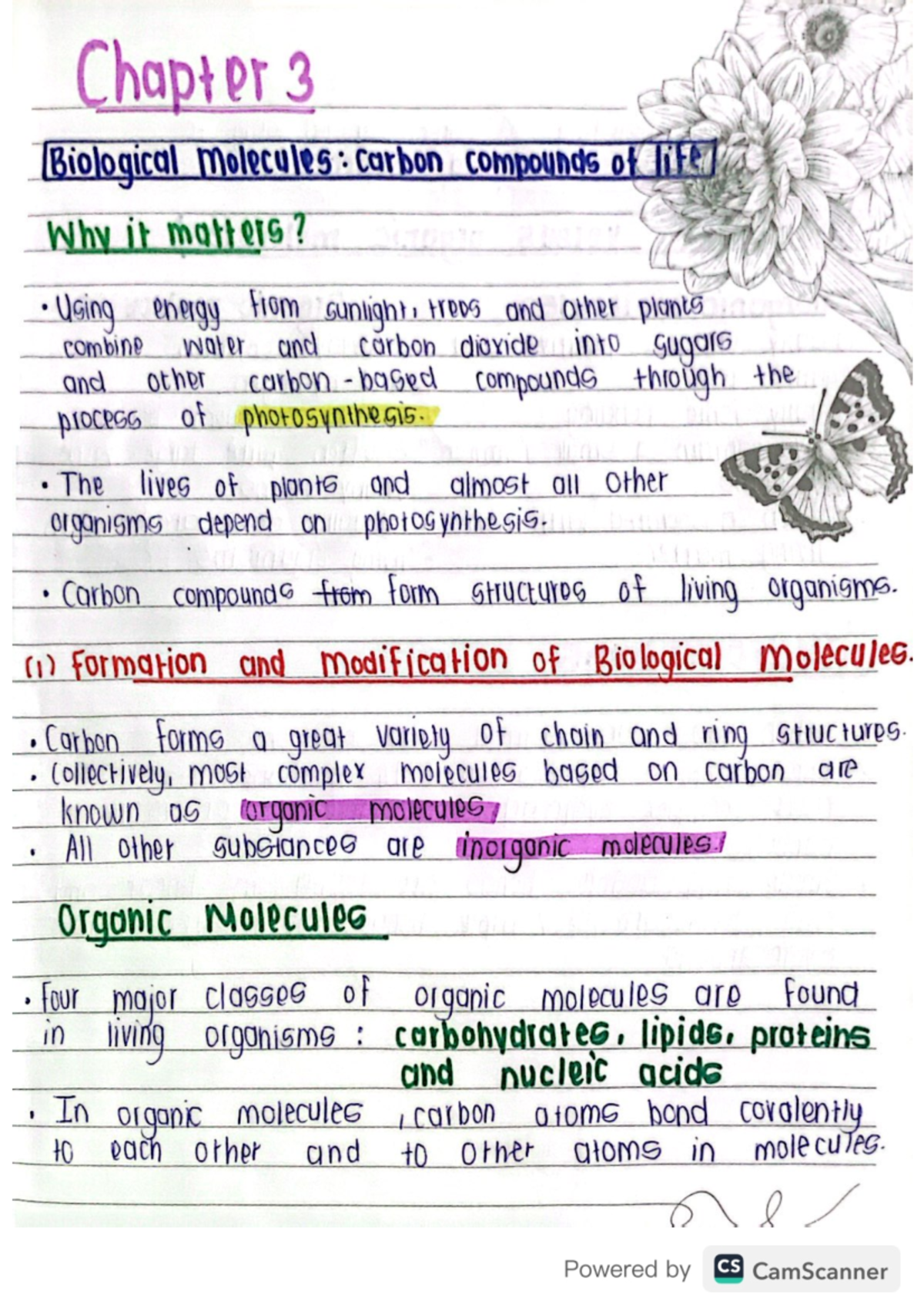 BLGY1513 Chapt 3 - Chapter 3 Biological Molecules: carbon compounds of ...