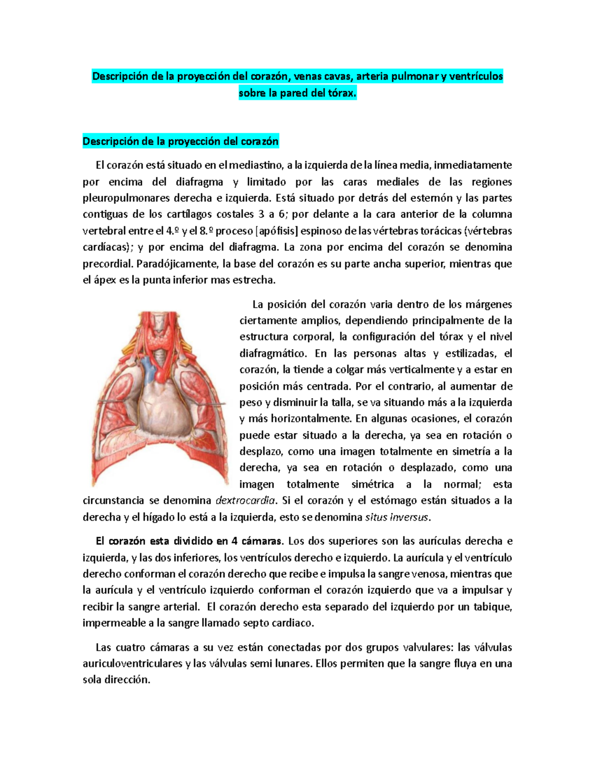EXAM Fisico Pulso Venoso - Descripción de la proyección del corazón ...