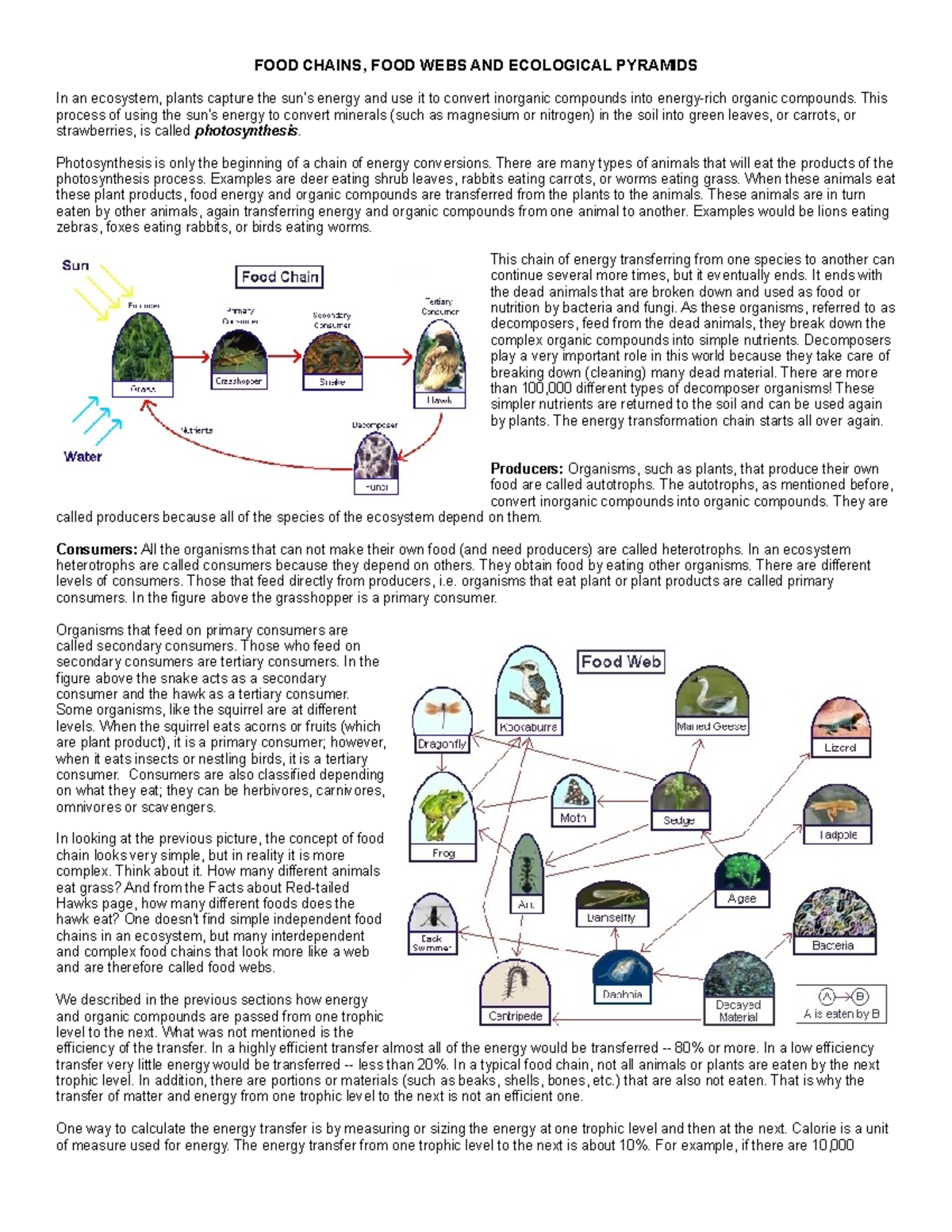 Ecological pyramids worksheet 4 - FOOD CHAINS, FOOD WEBS AND ECOLOGICAL ...
