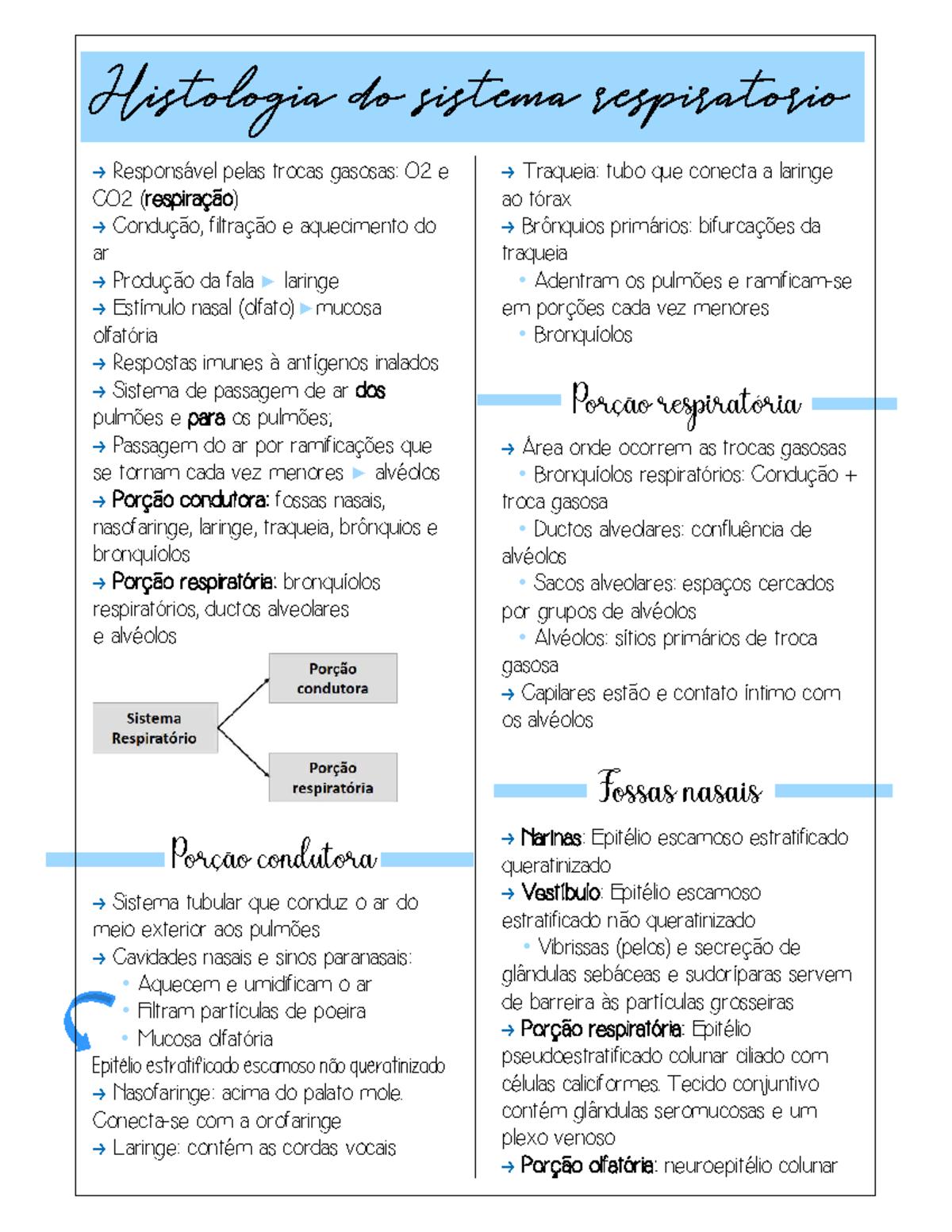 Histologia do s. respiratorio me resumo - Warning: TT: undefined function: 32 Histologia do ...