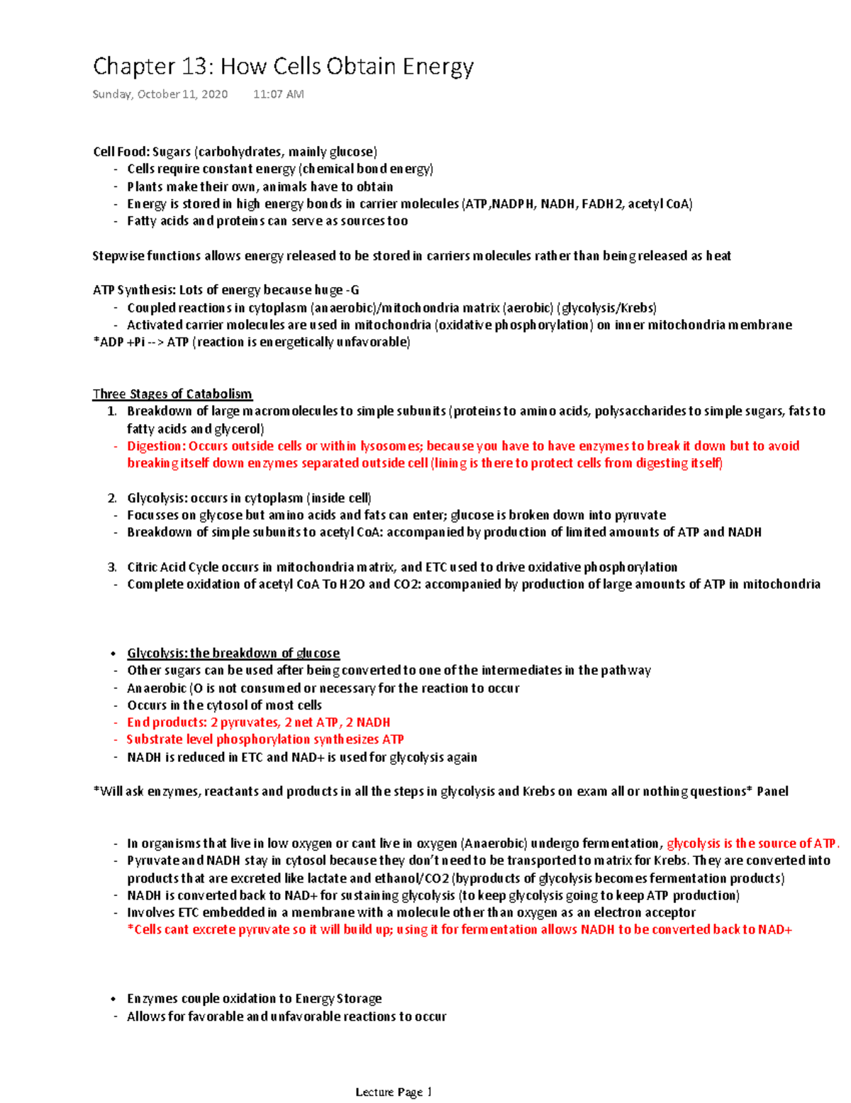 Chapter 13 How Cells Obtain Energy - Cells require constant energy ...