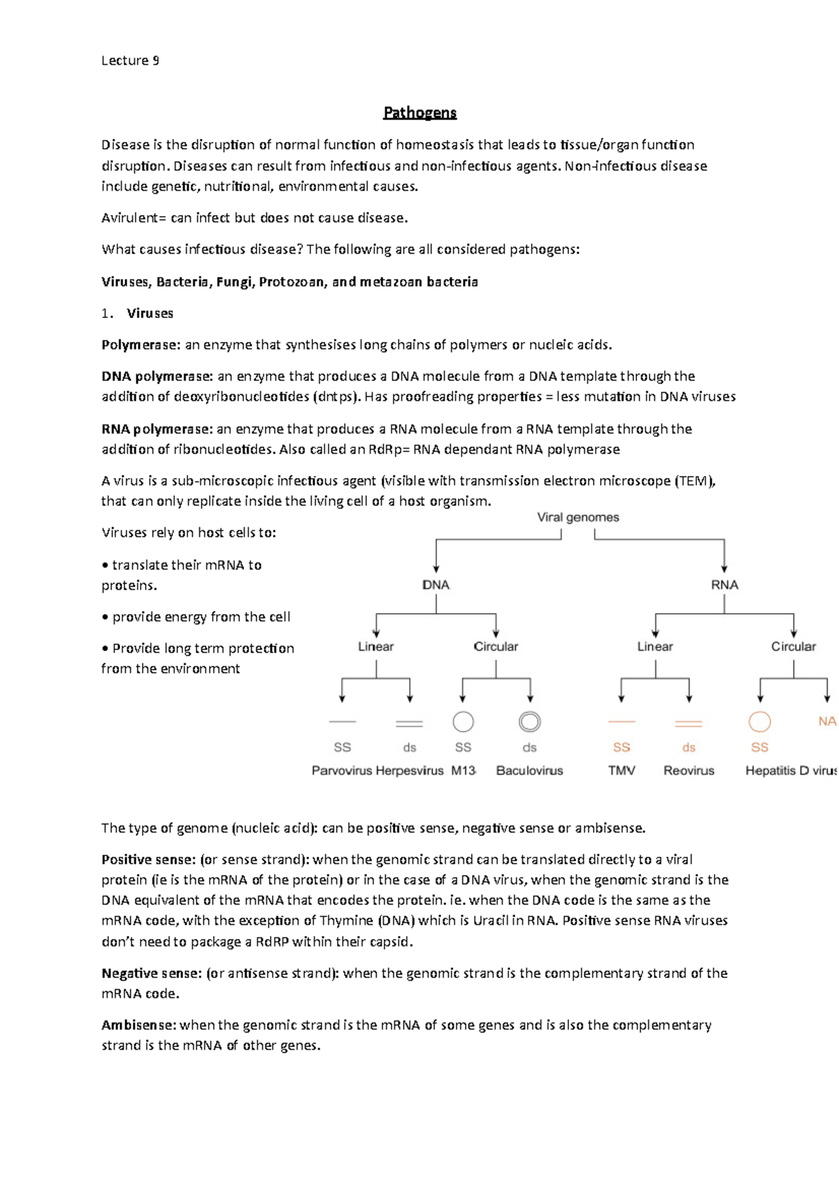 Pathogens - Pathogens Disease is the disruption of normal function of ...