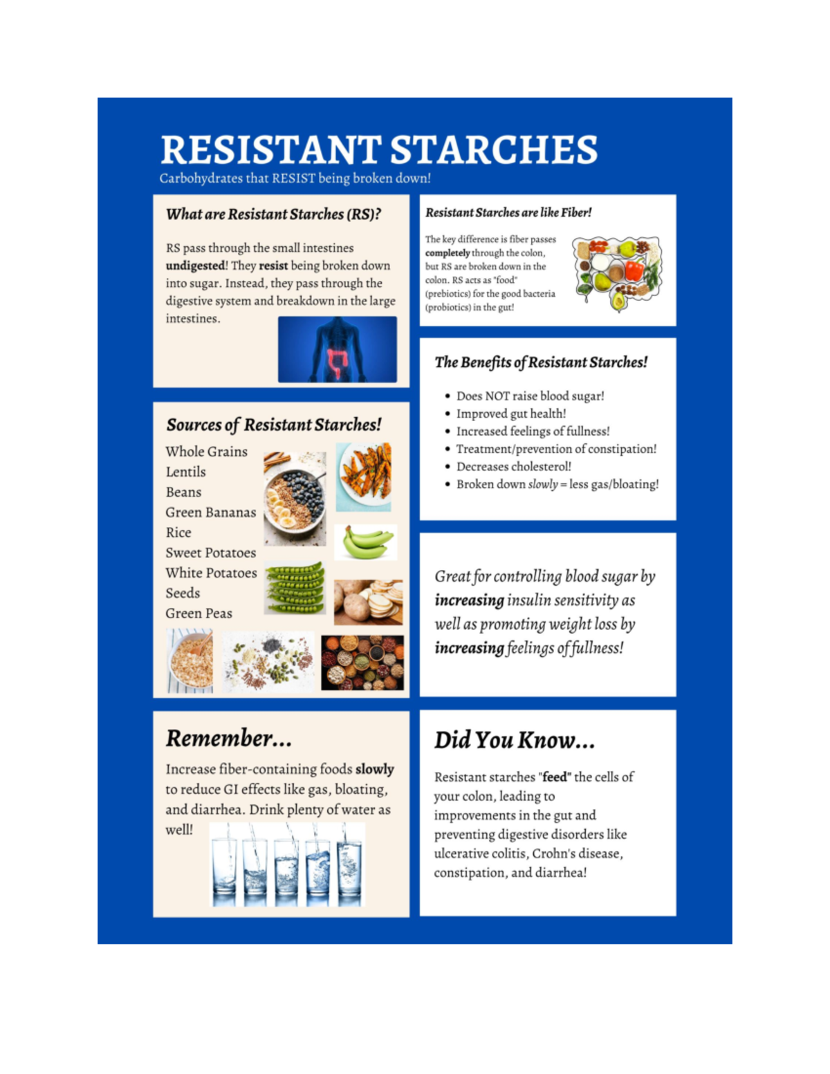 Resistant Starches - Copy - Studocu